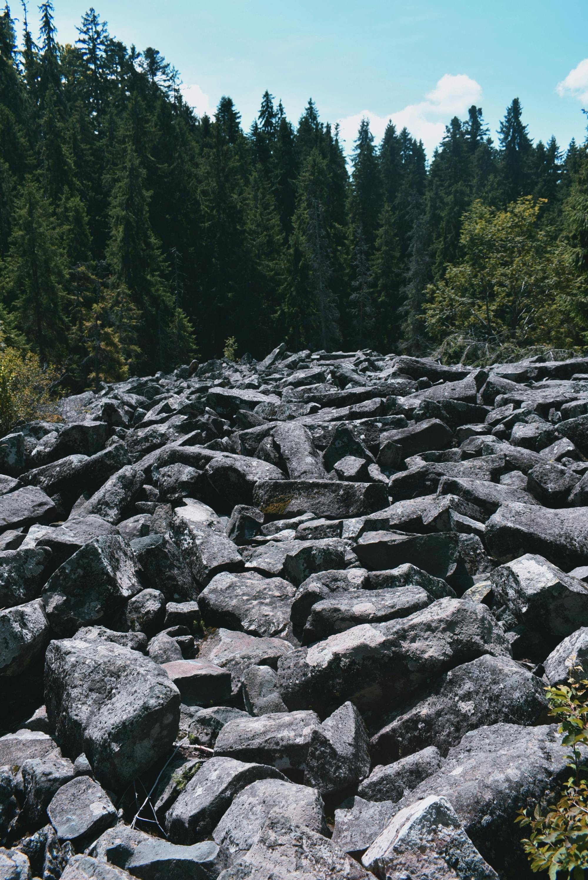 Gray Rocks Beside Trees · Free Stock Photo