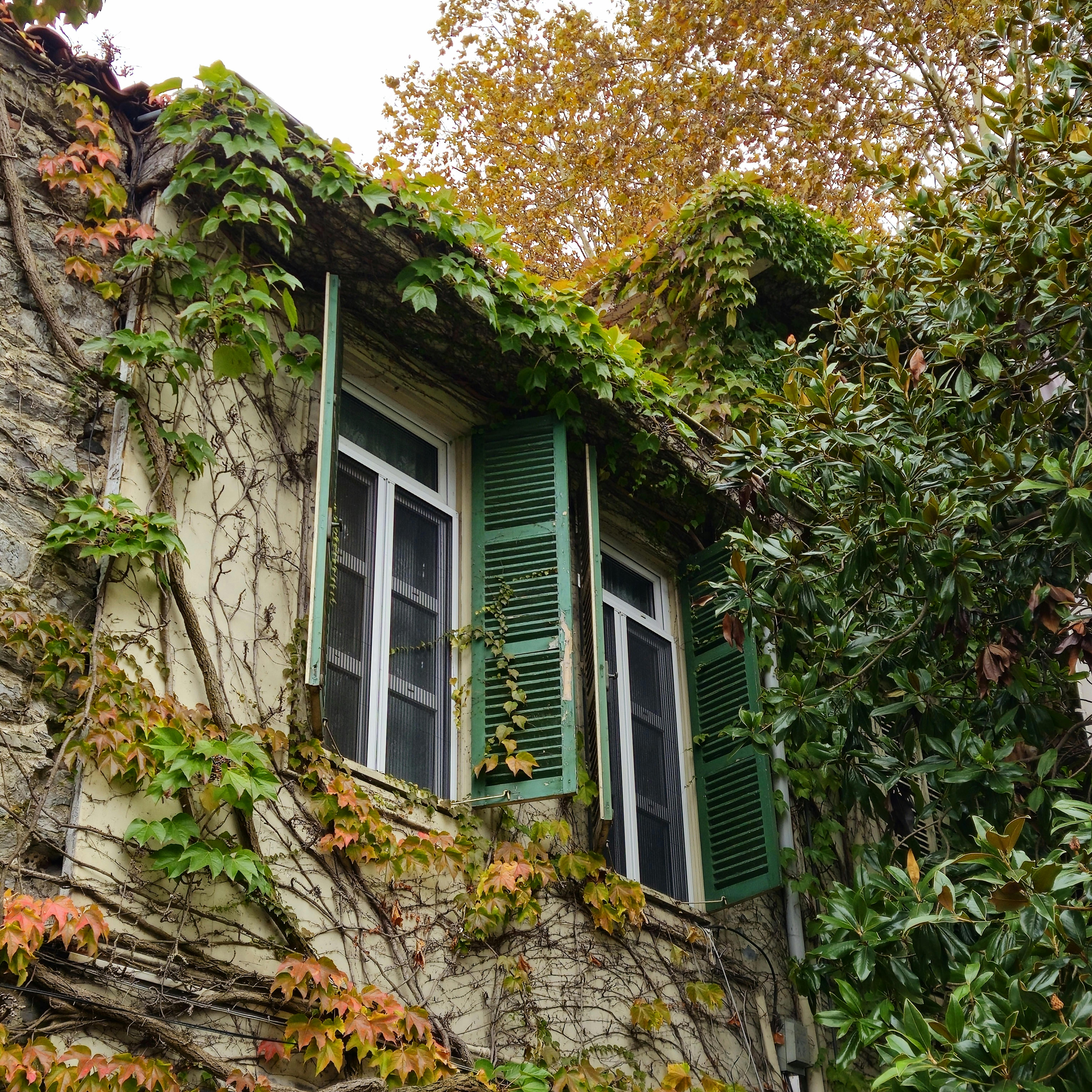 100,000+ 張最佳 Window 1o Wallpaper 相片 · 100% 免費下載 · Pexels 圖庫相片