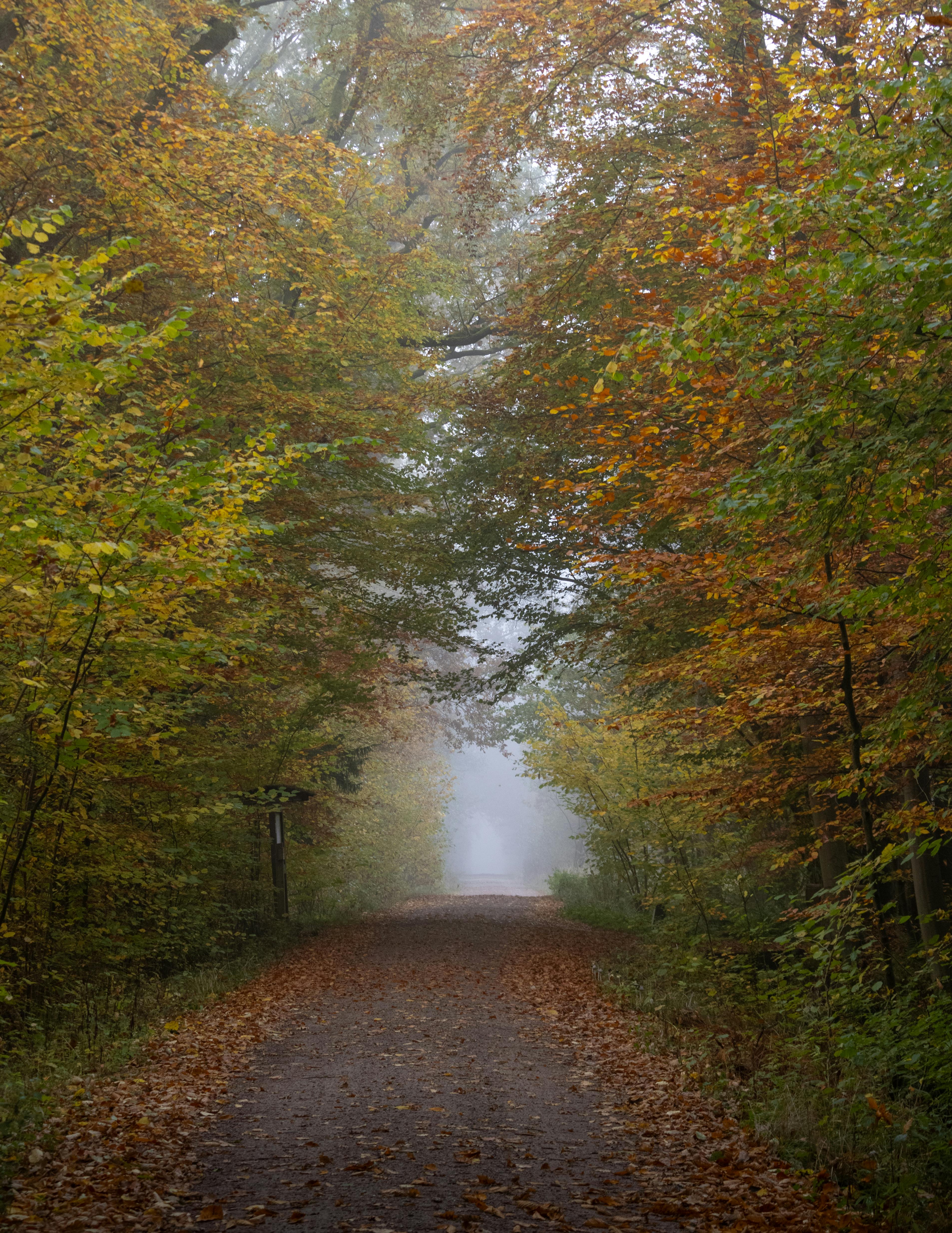 20+ melhores imagens de Destinații Turistice Fotografii · Download 100% ...