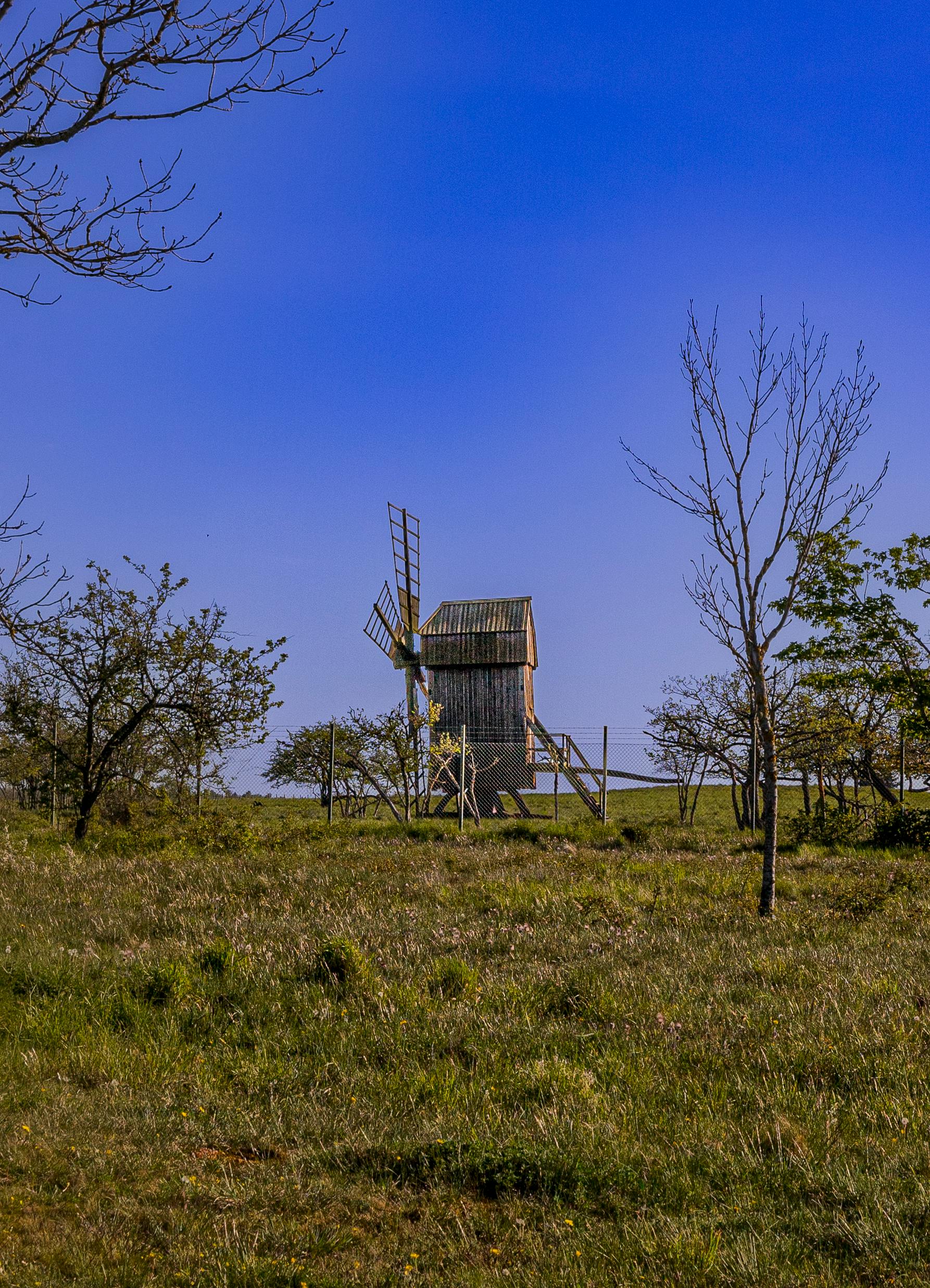 Scenic Windmill on Öland Island, Sweden · Free Stock Photo