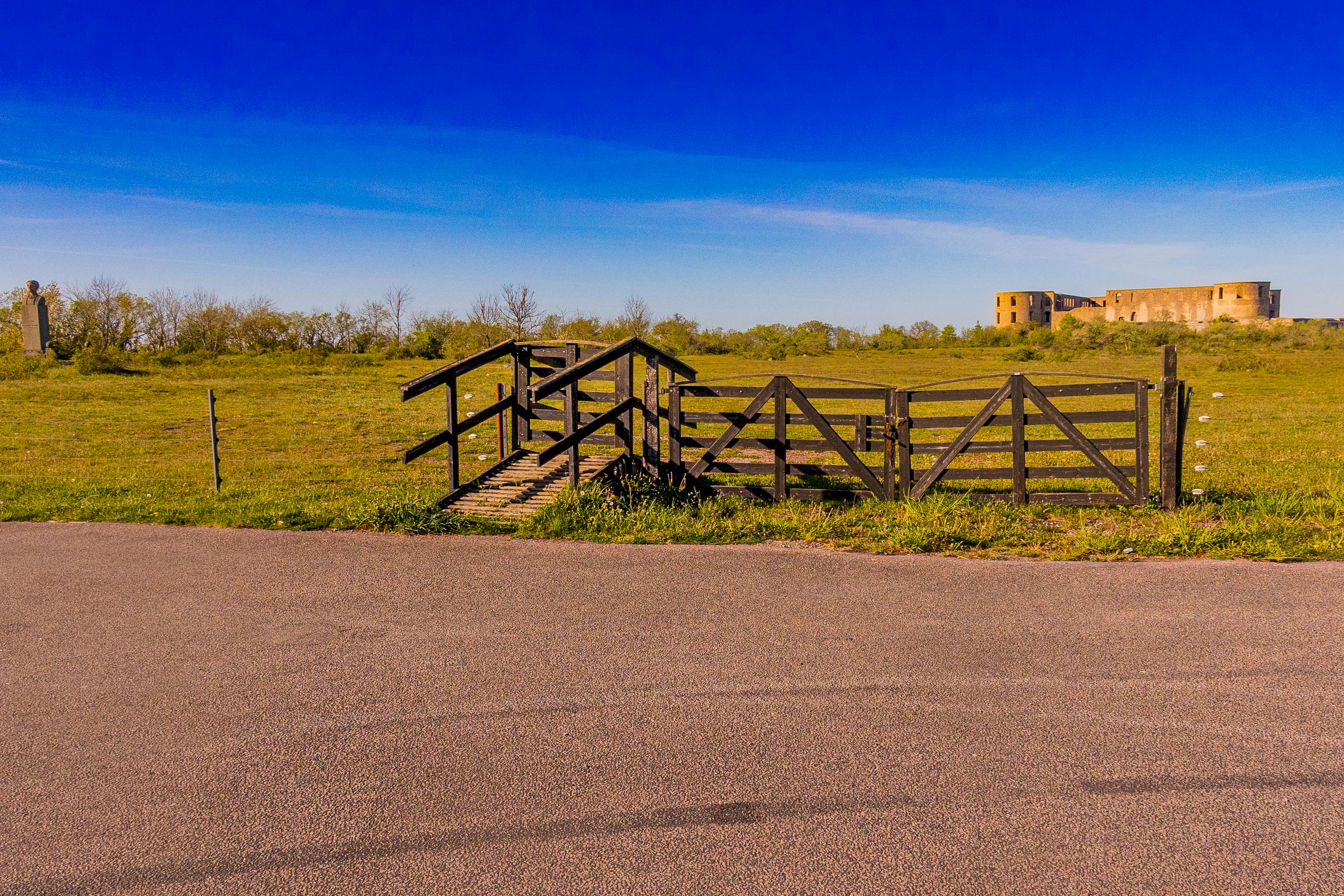 Skov Sverige Photos, Download The BEST Free Skov Sverige Stock Photos ...