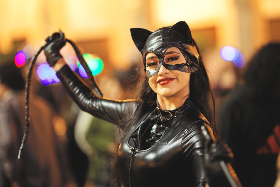 Cat Ear Types: Know Your Feline's Unique Features