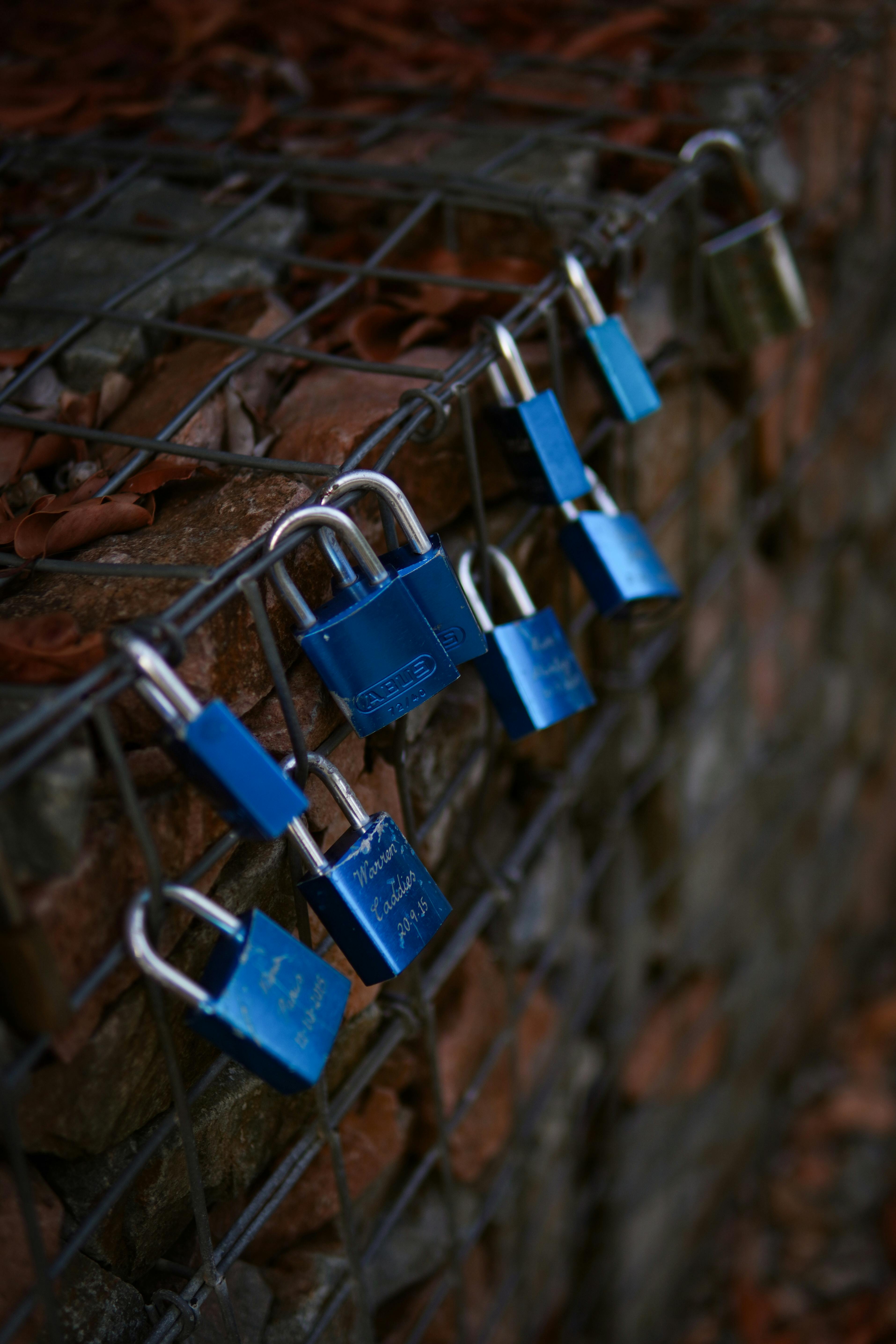Blue Padlocks on Wire Fence with Autumn Leaves · Free Stock Photo