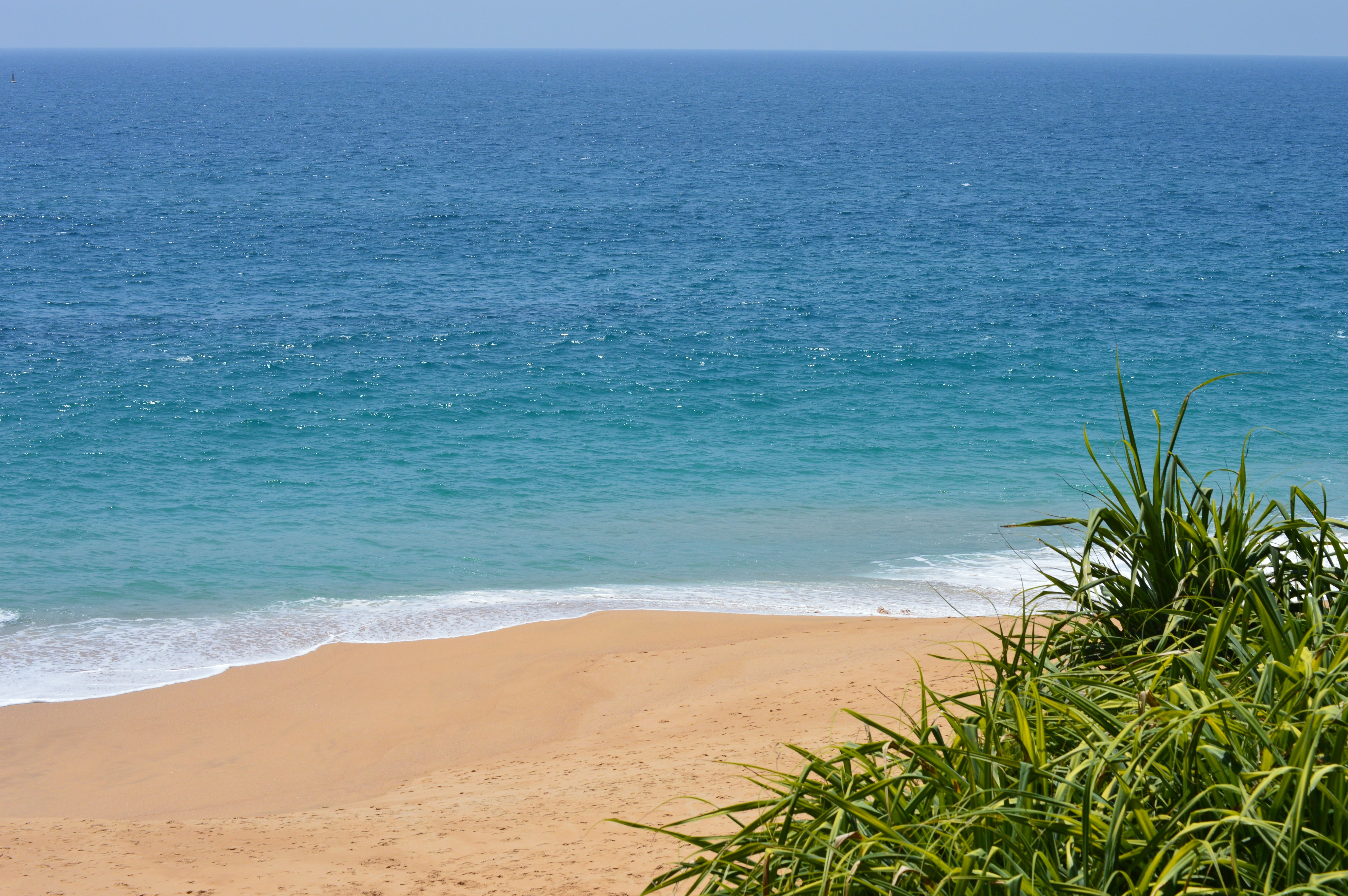 Serene Beach with Ocean View and Blue Skies · Free Stock Photo