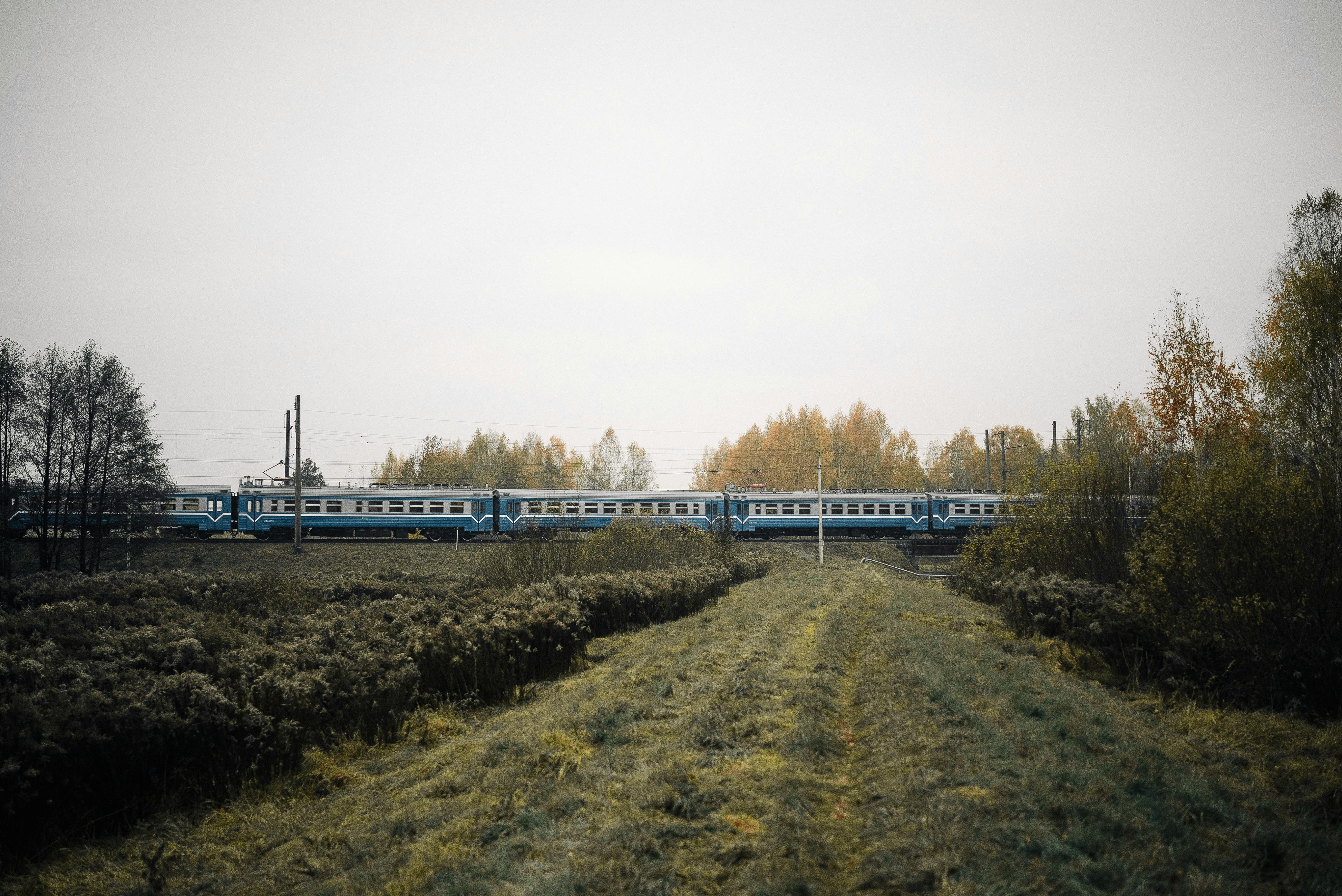 Train Trellis Photos, Download The BEST Free Train Trellis Stock Photos ...