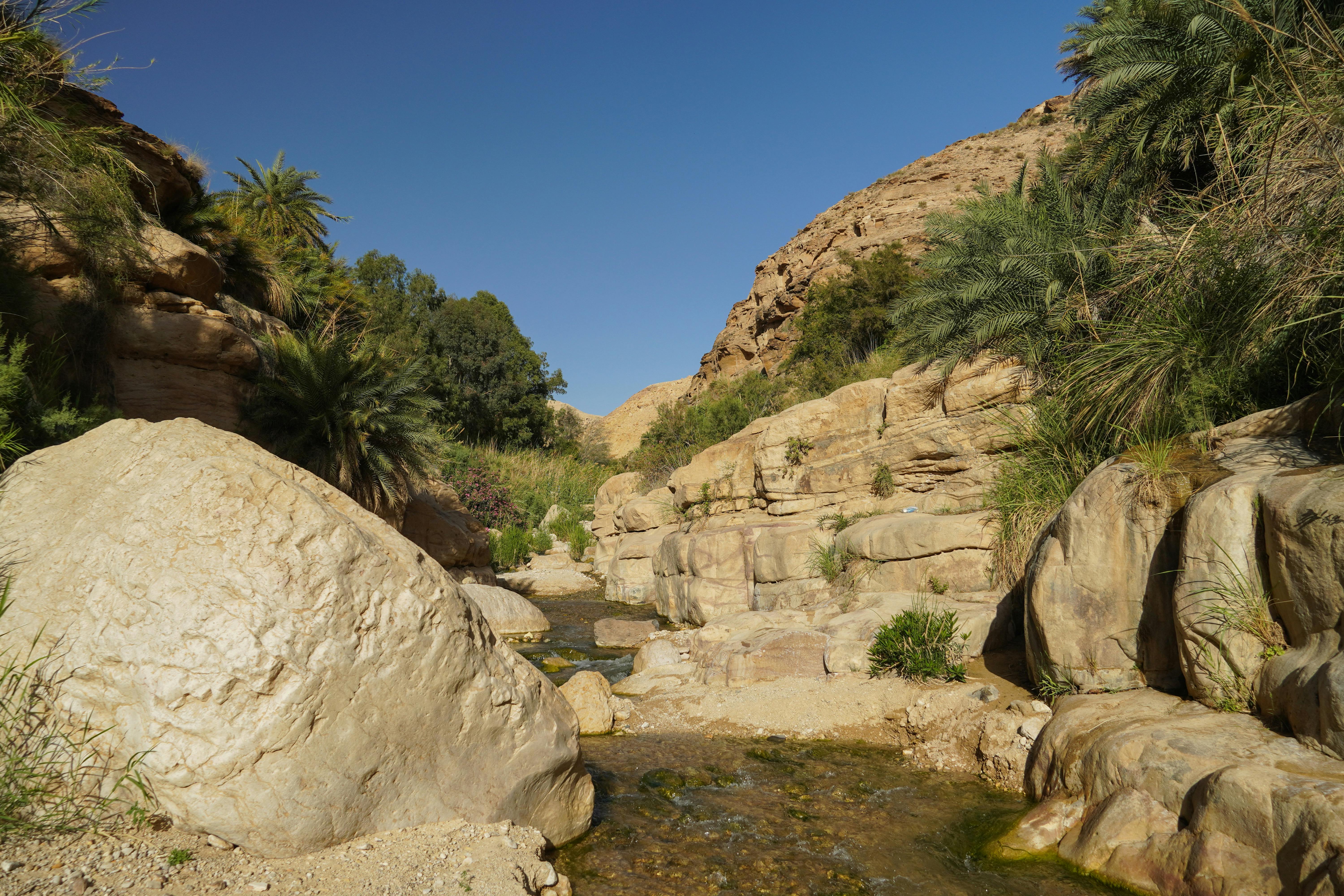 Scenic Wadi Landscape in Karak, Jordan · Free Stock Photo