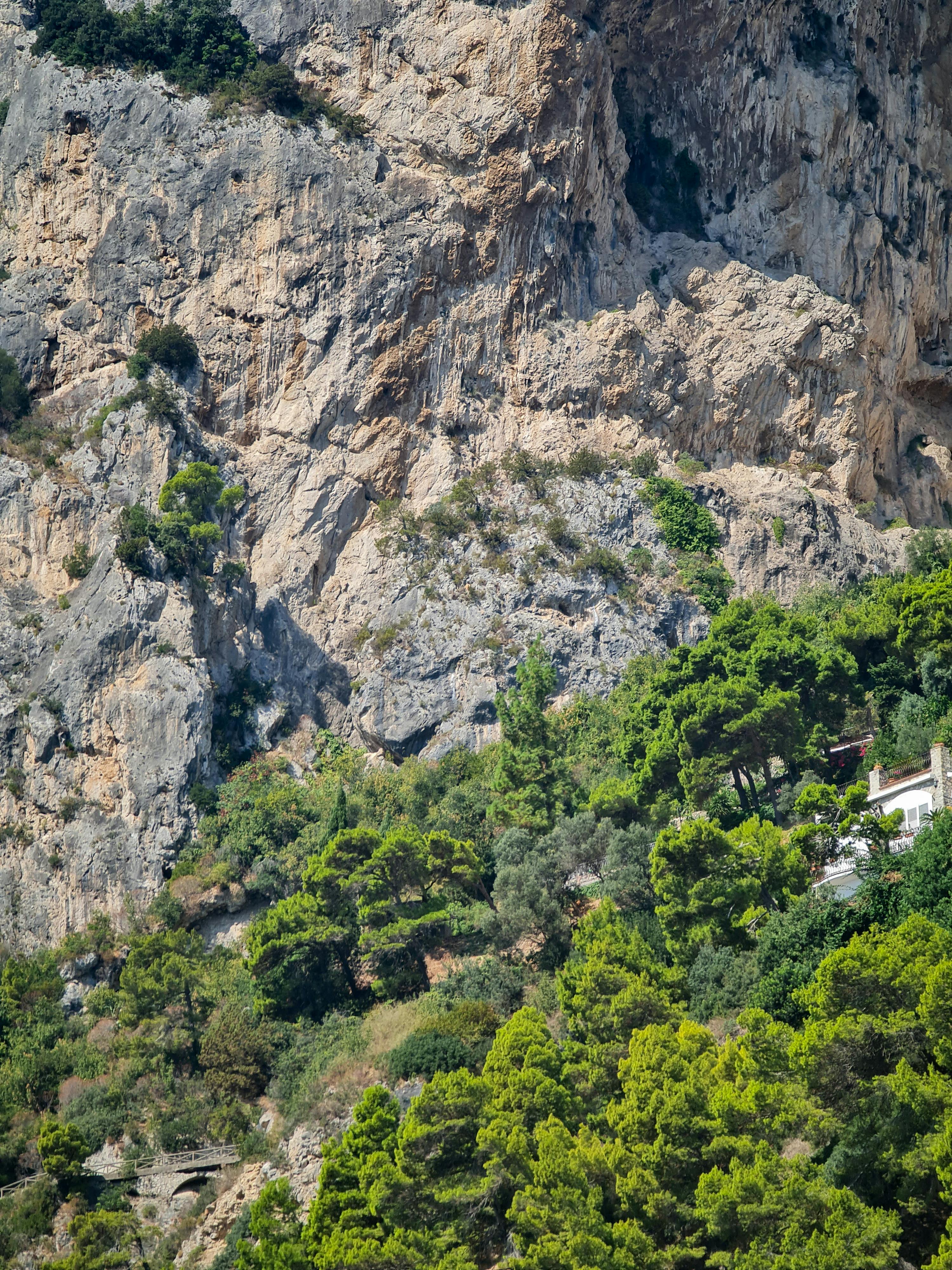 Scenic Rocky Cliffs and Greenery in Capri, Italy · Free Stock Photo
