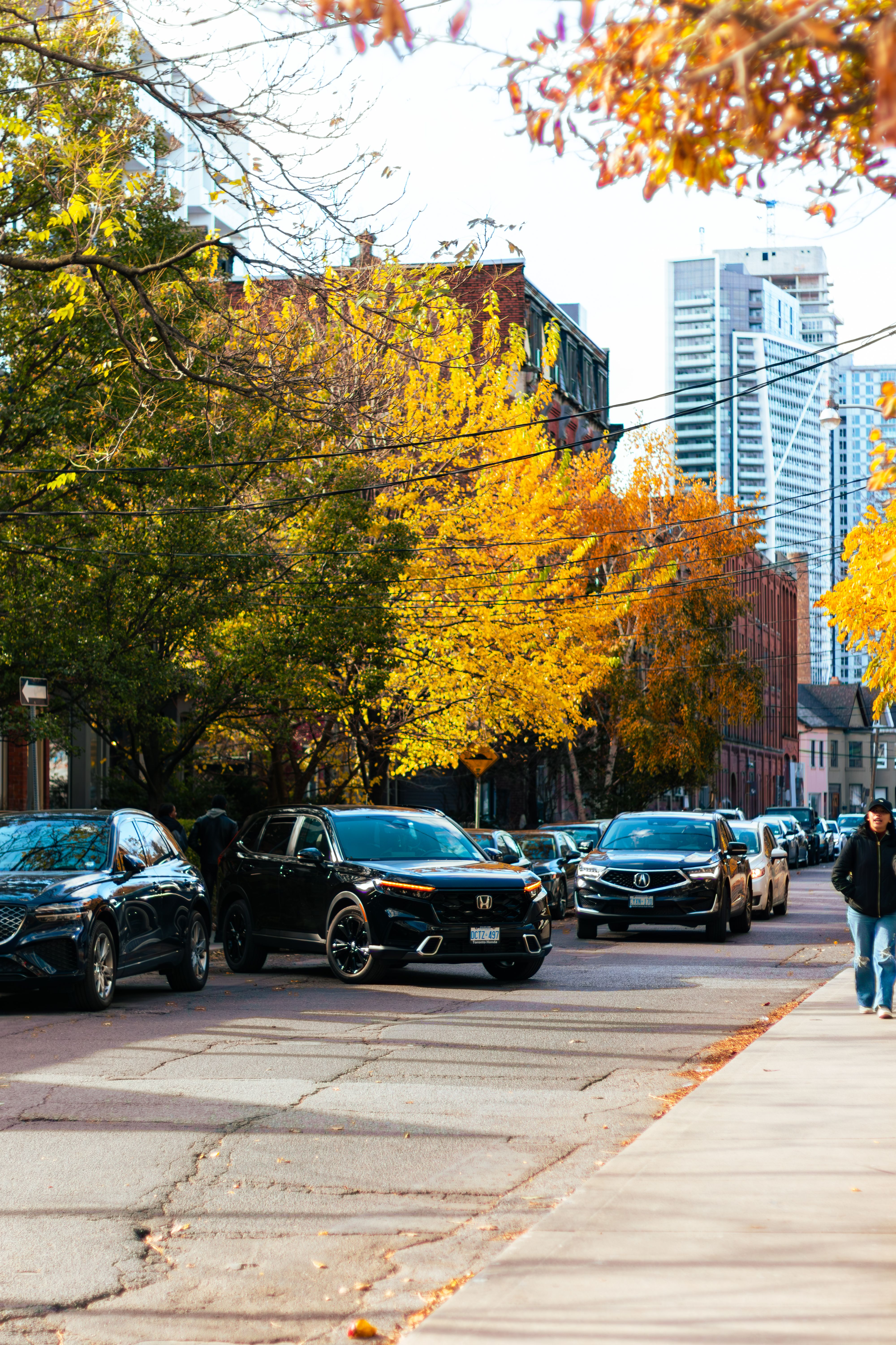 Autumn Street View in Toronto, Canada · Free Stock Photo