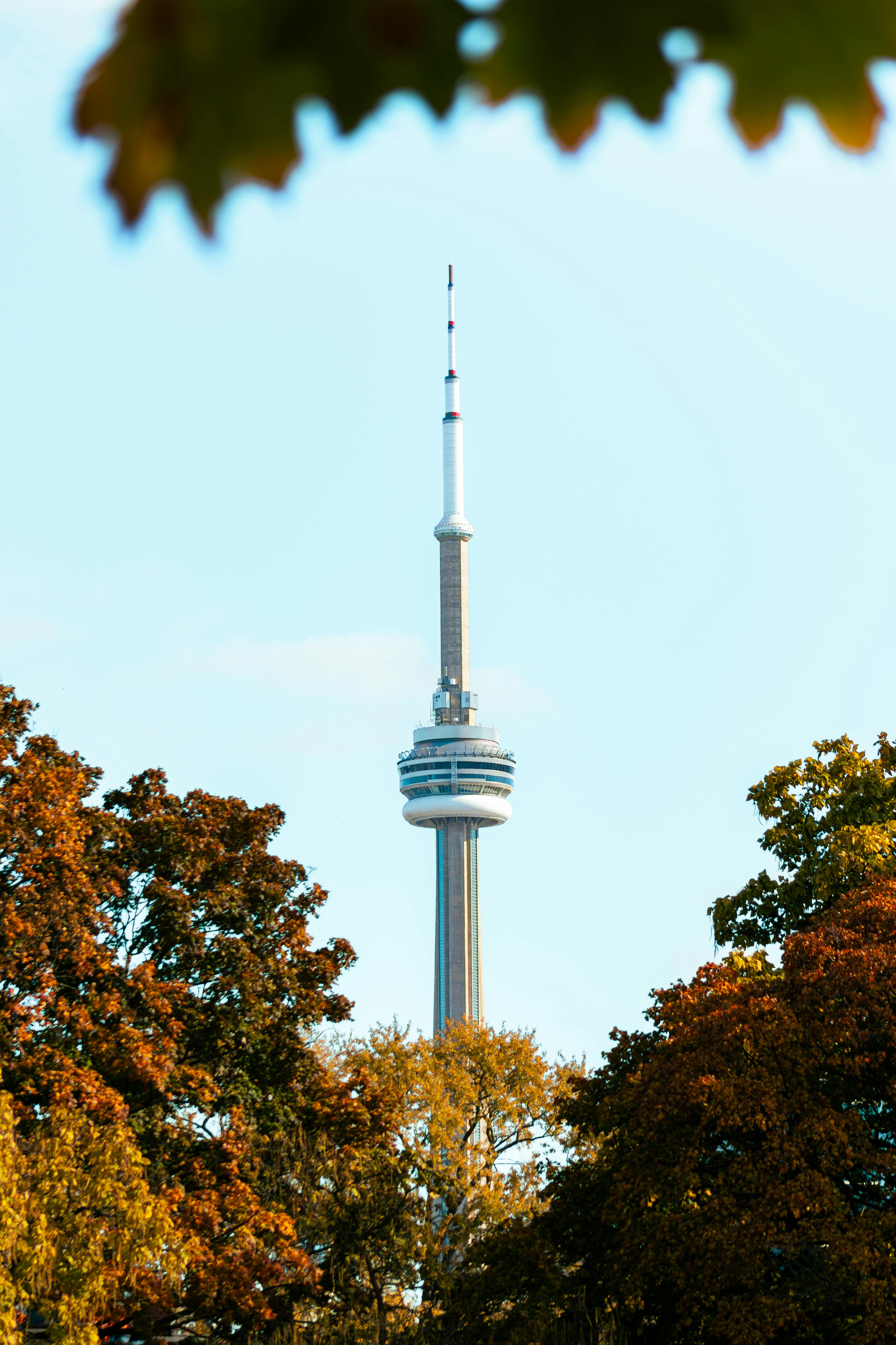 Autumn View of CN Tower in Toronto, Canada · Free Stock Photo