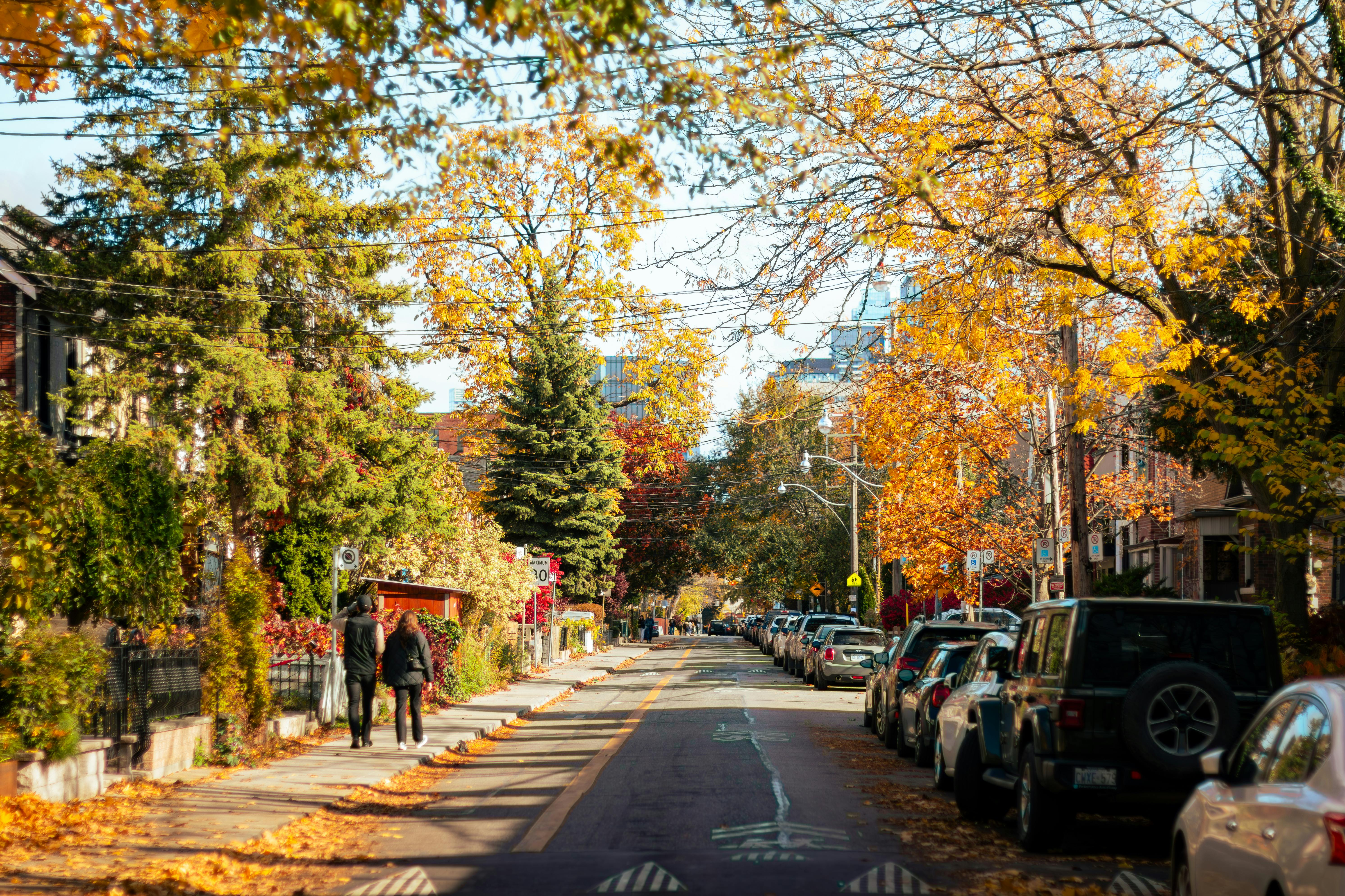Autumn Street in Toronto with Colorful Maple Trees · Free Stock Photo