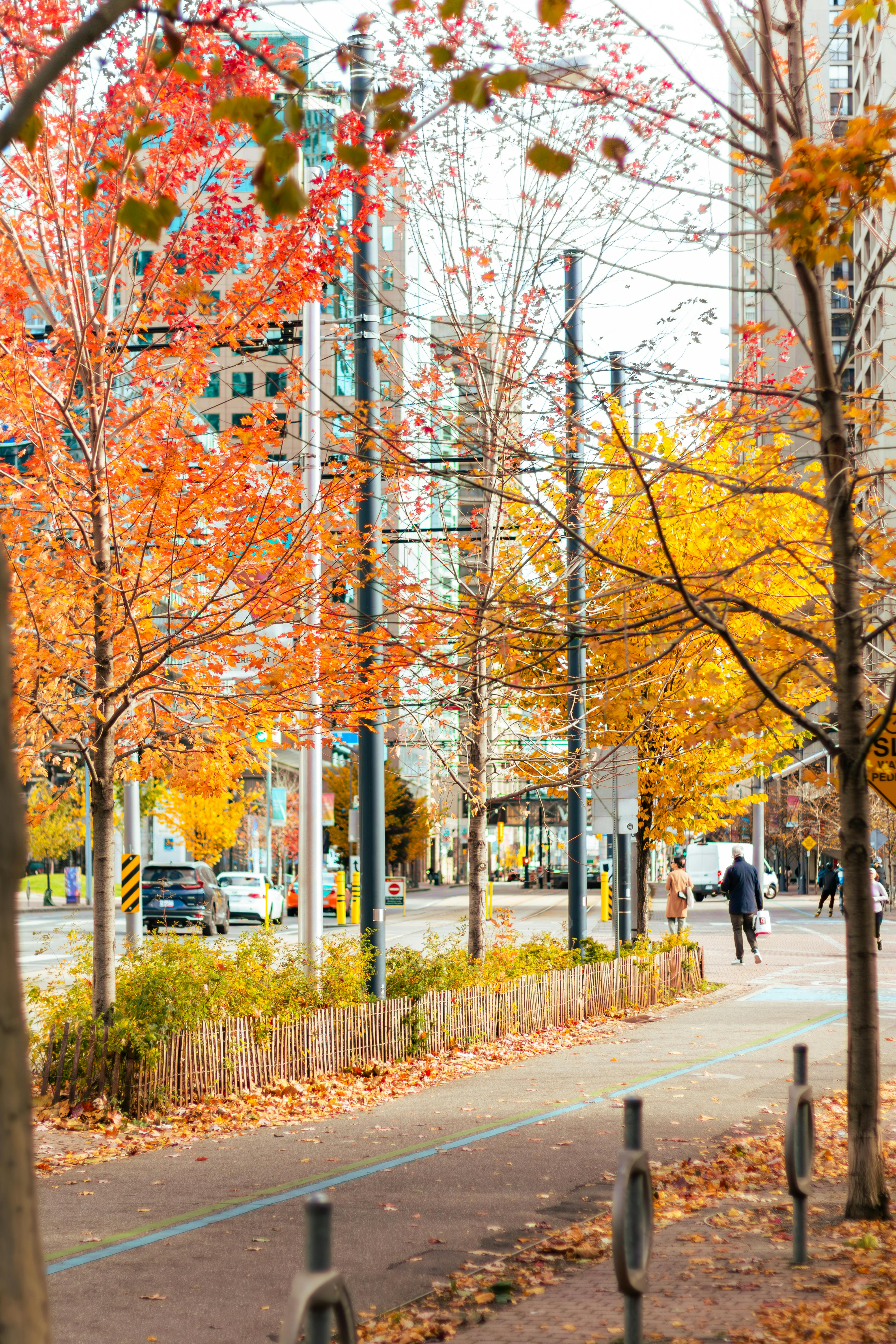Vibrant Fall Street Scene in Downtown Toronto · Free Stock Photo