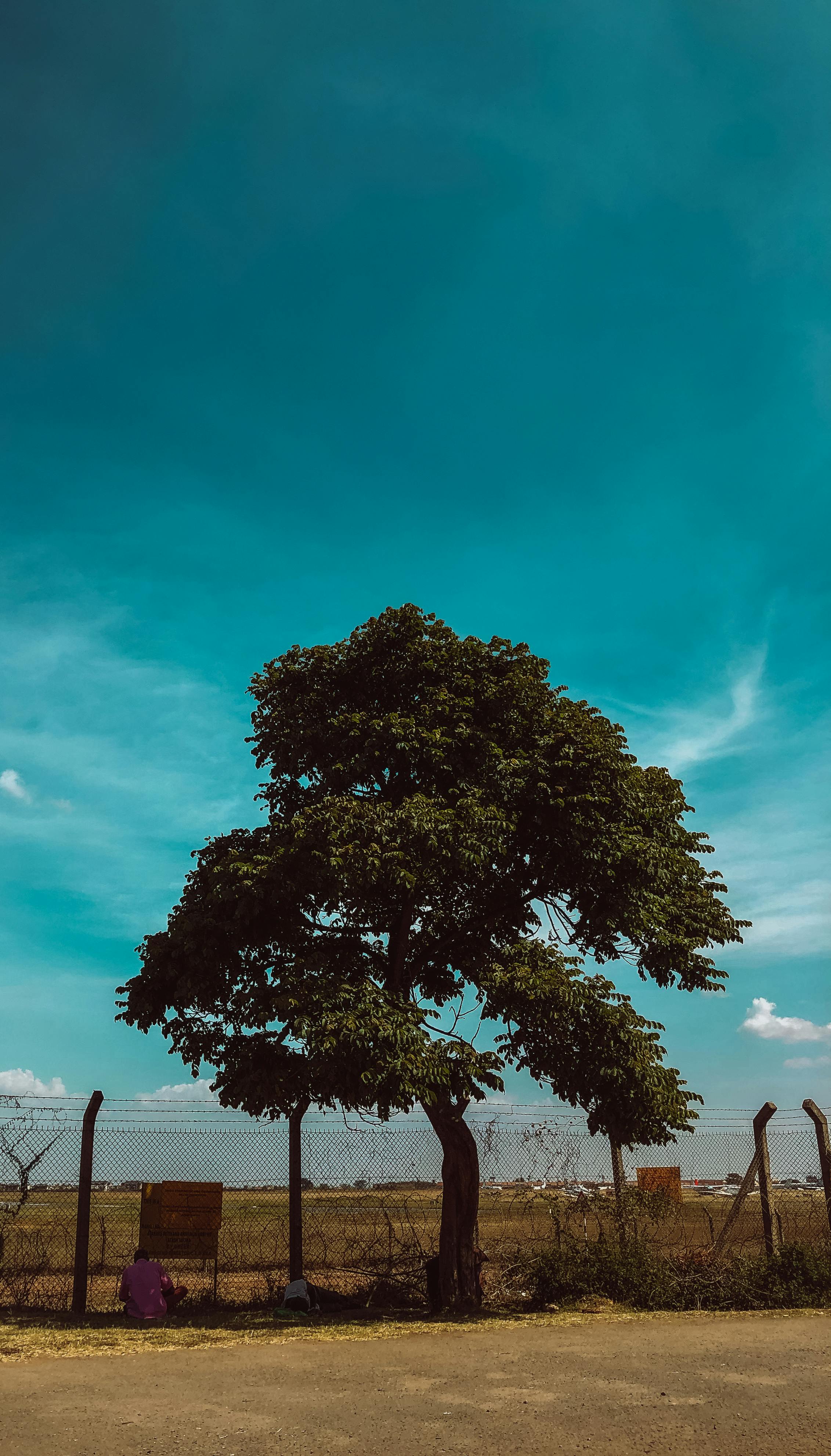 Joy Kahashi - Photography