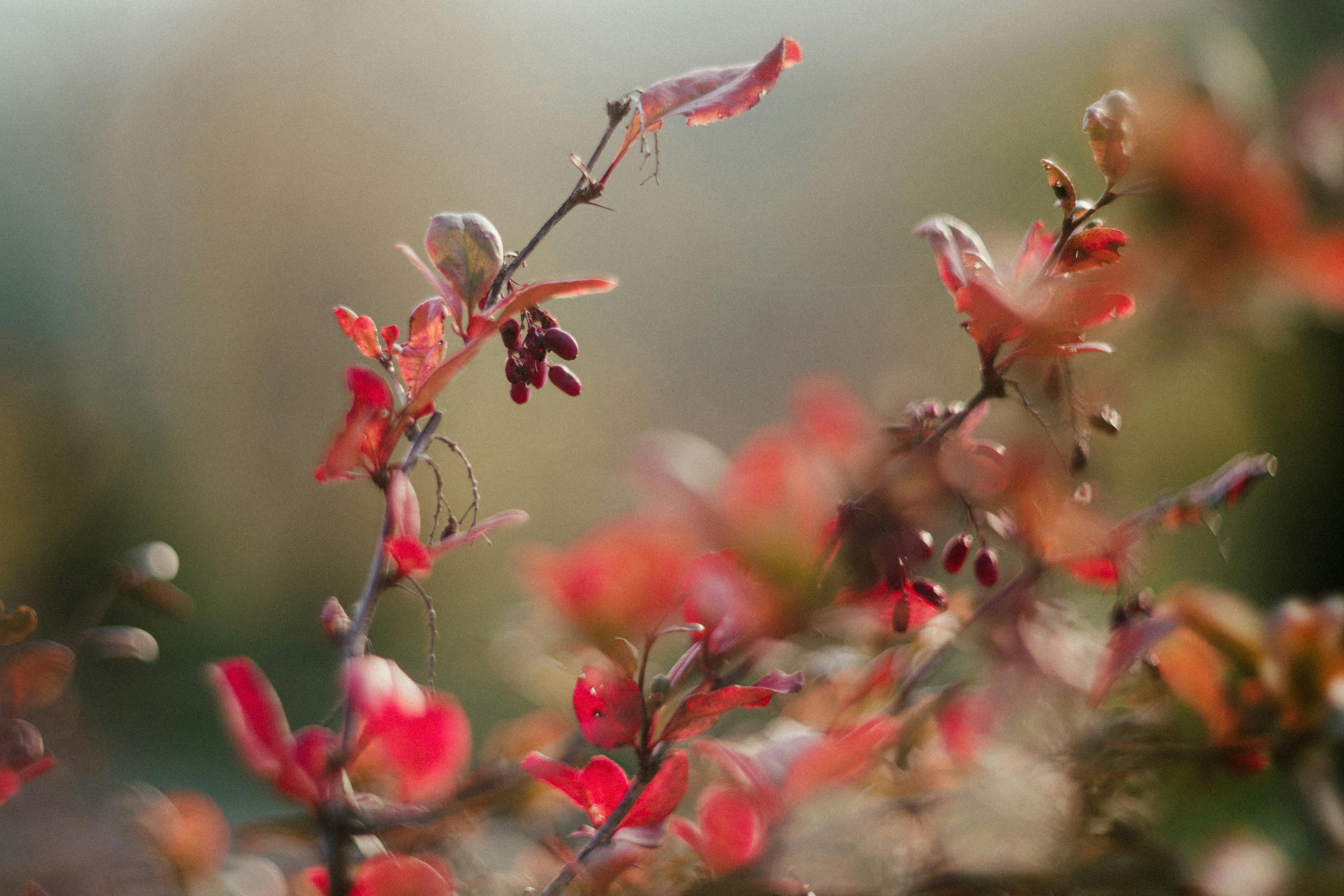 Transitions Effects Photos, Download The BEST Free Transitions Effects ...