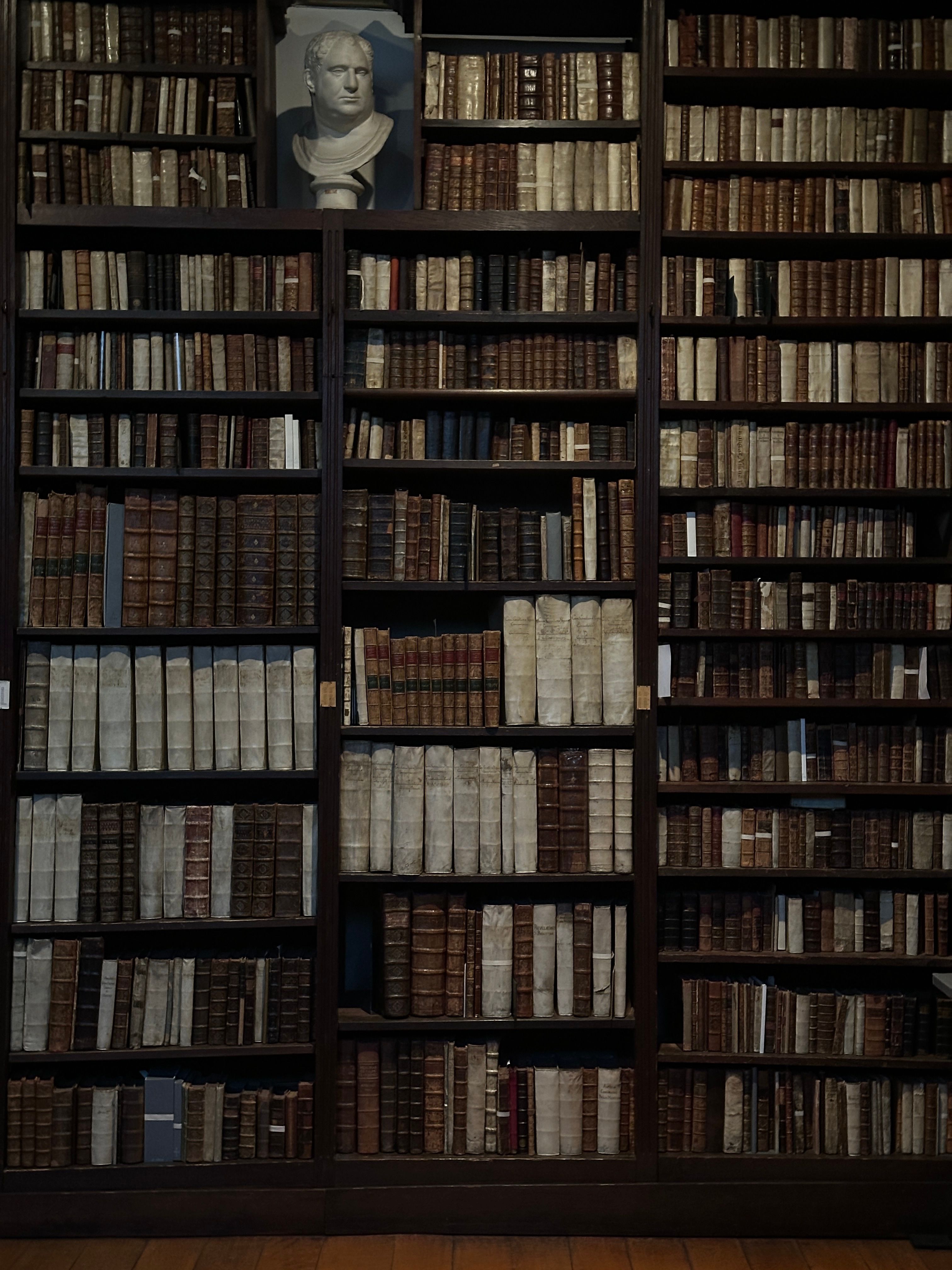 View of a Ladder Standing next to a Bookshelf in an Old Library · Free ...