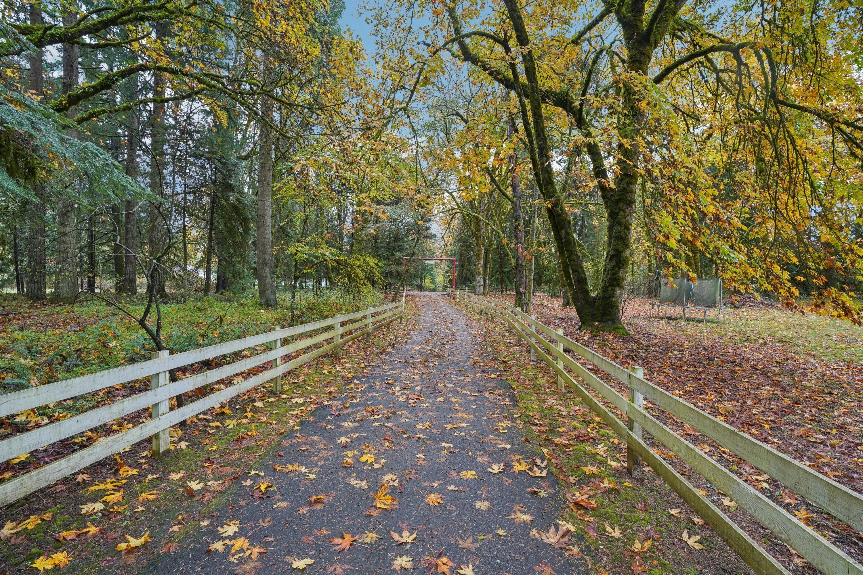 Scenic Autumn Pathway Through Forest · Free Stock Photo