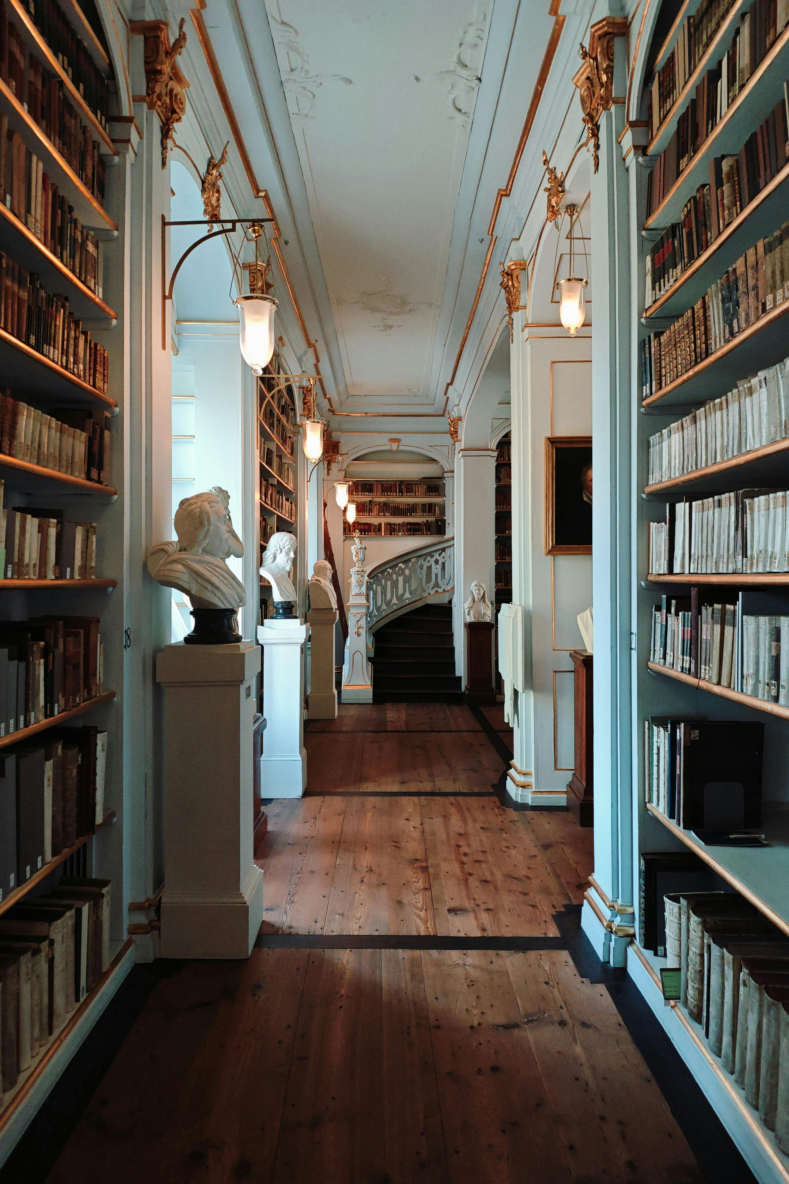 Elegant Vintage Library Interior with Busts and Bookshelves · Free ...