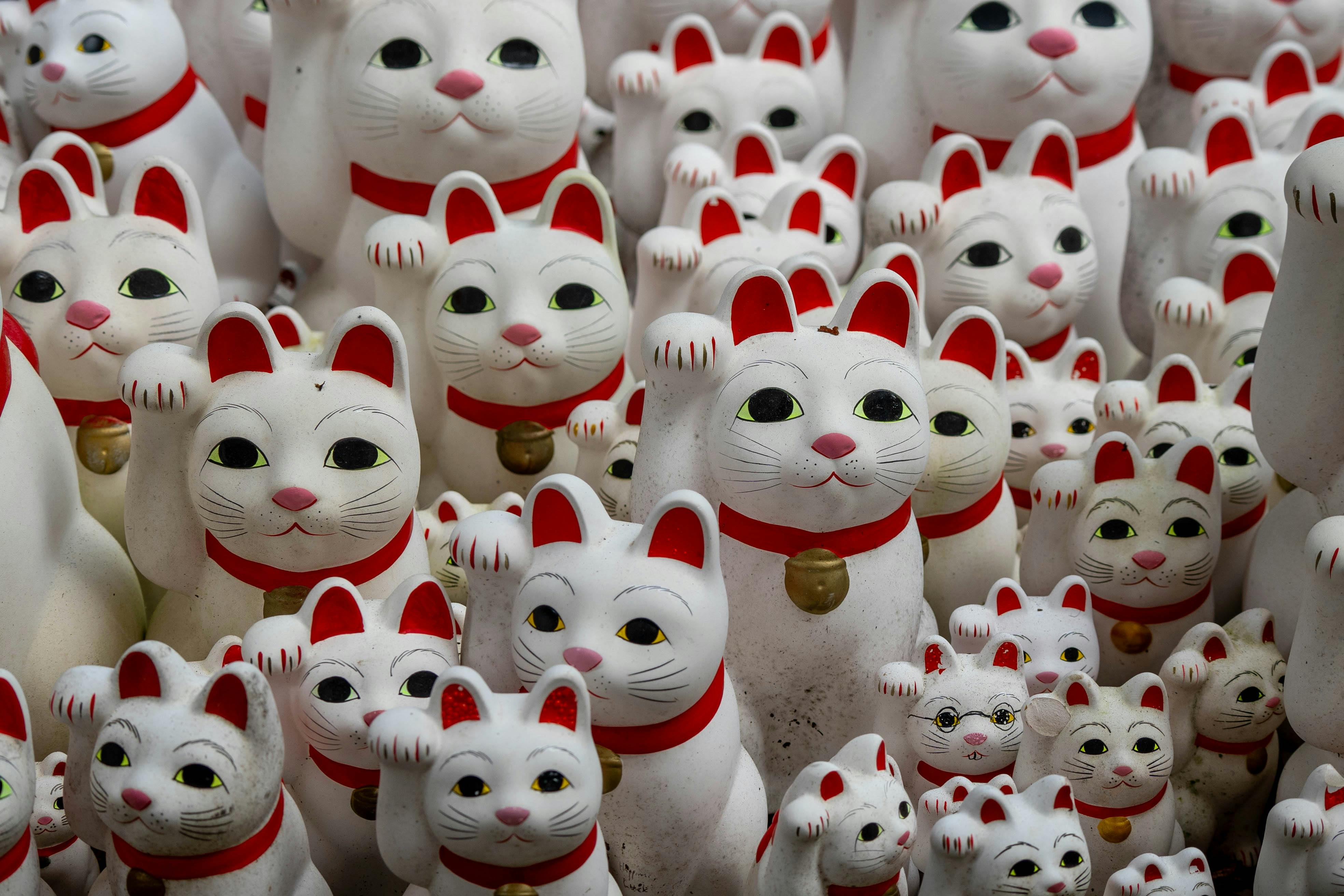 Good Luck Cats Japan: Maneki Neko Traditions and More
