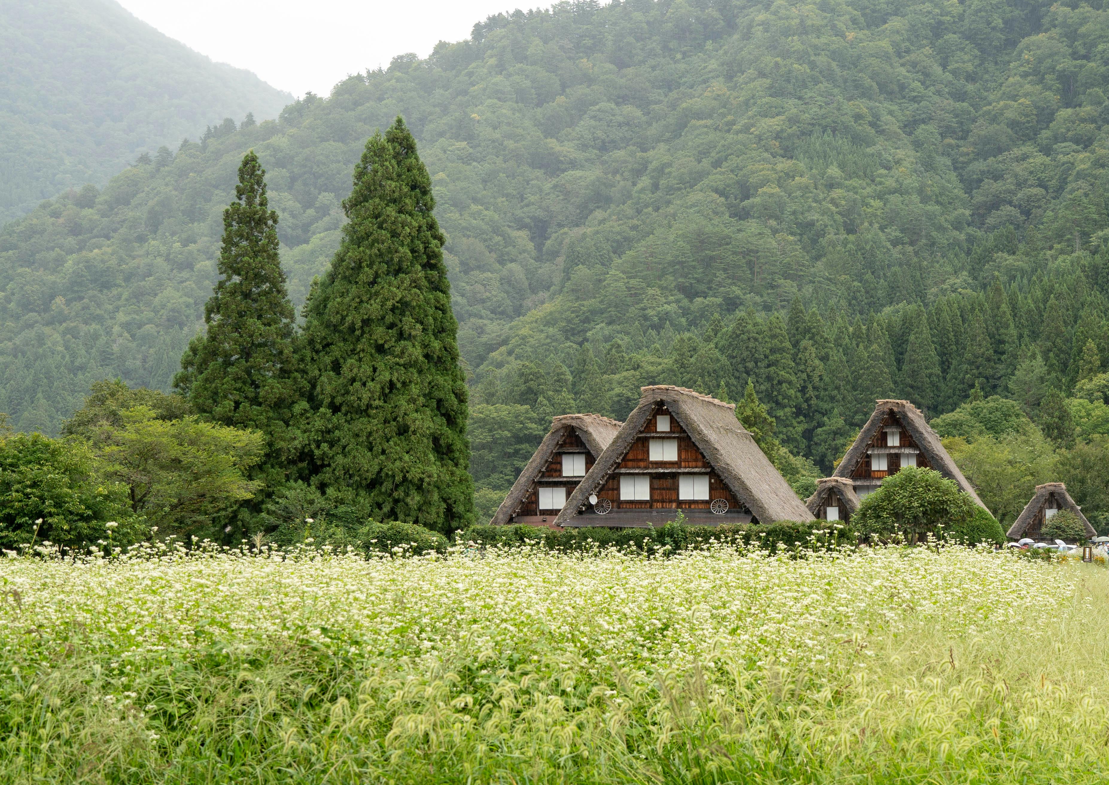 Traditional Japanese Gassho-Zukuri Houses in Rural Landscape · Free ...