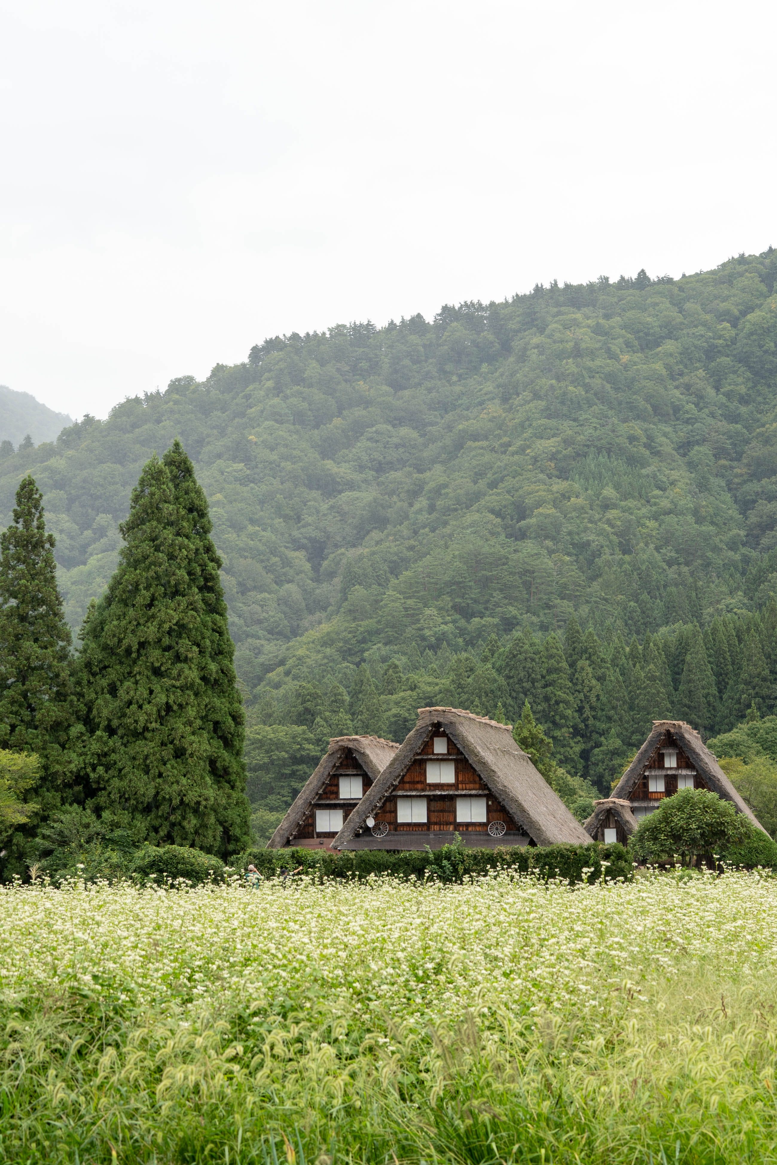 Traditional Japanese Village in Scenic Countryside · Free Stock Photo