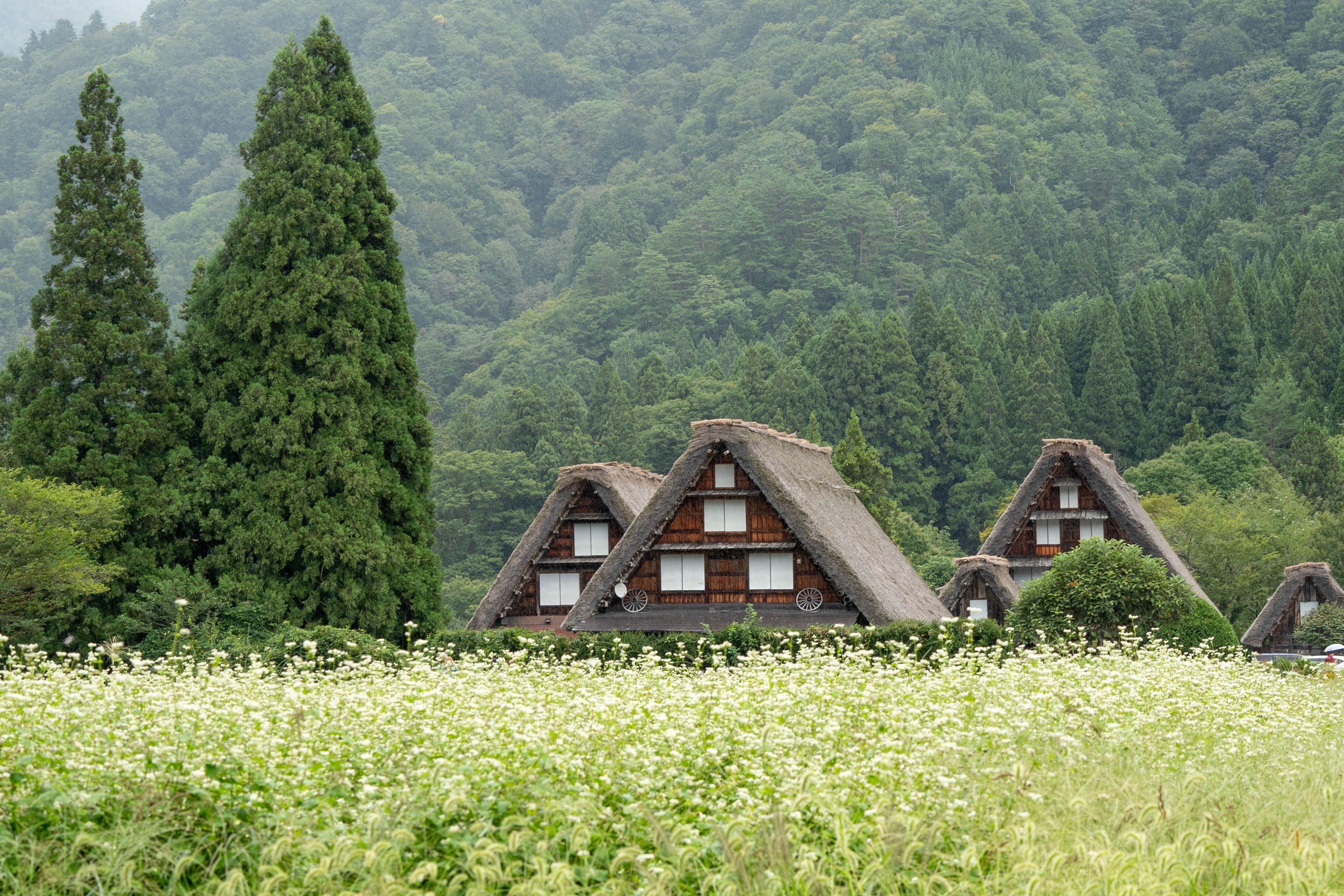 Traditional Gassho-Zukuri Houses in Shirakawa-go · Free Stock Photo