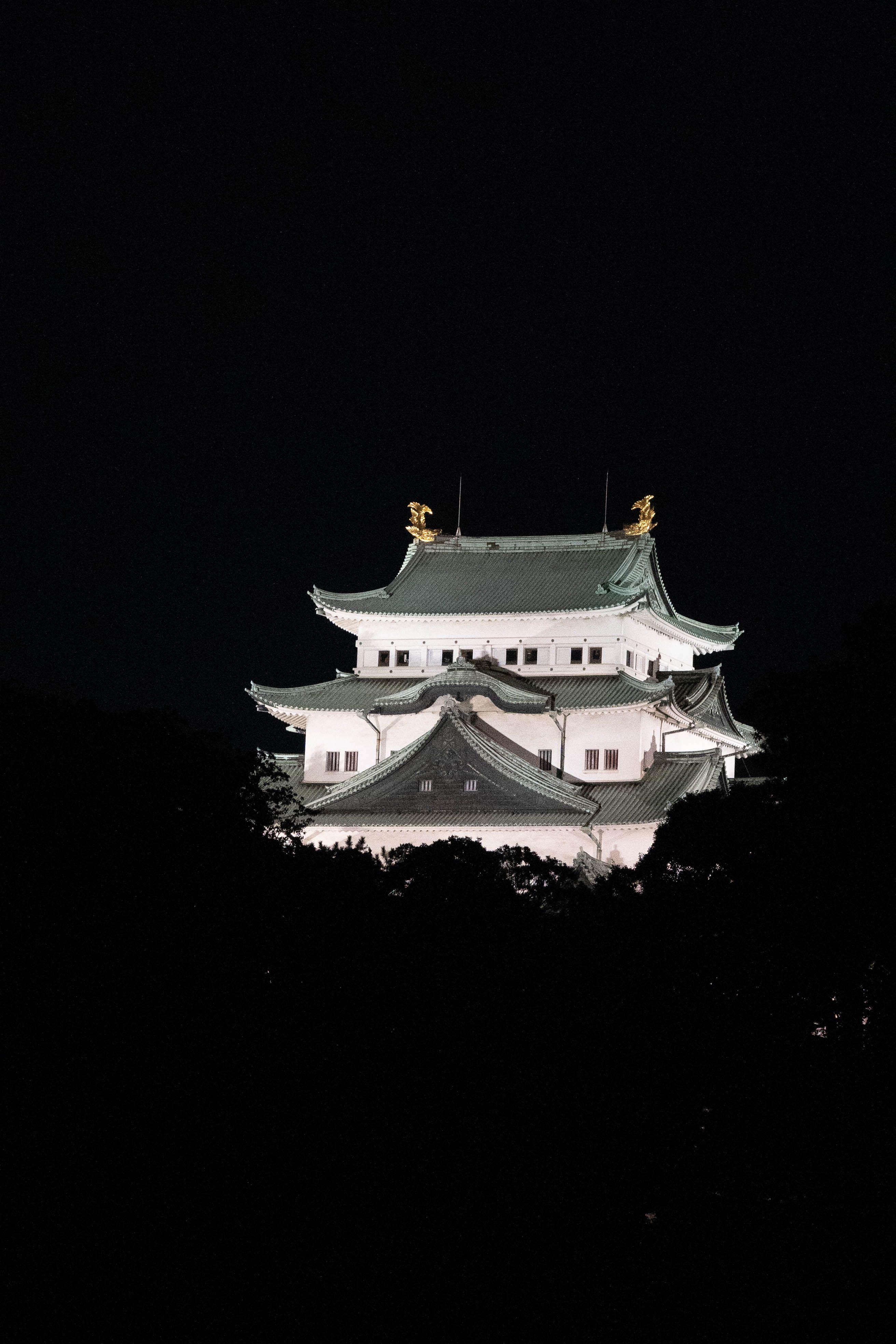 Illuminated Japanese Castle at Night · Free Stock Photo