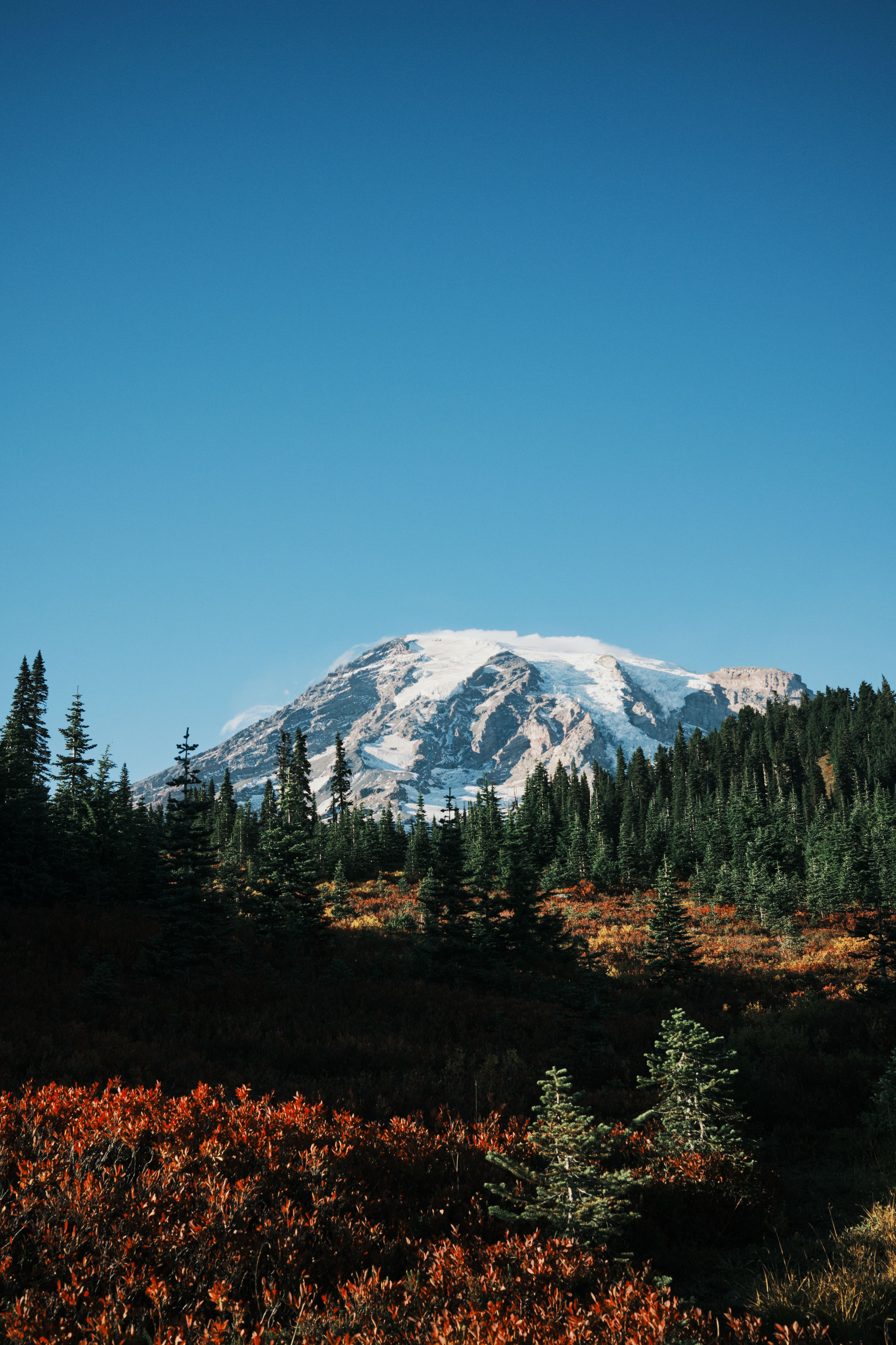 Scenic Mount Rainier with Autumn Foliage · Free Stock Photo