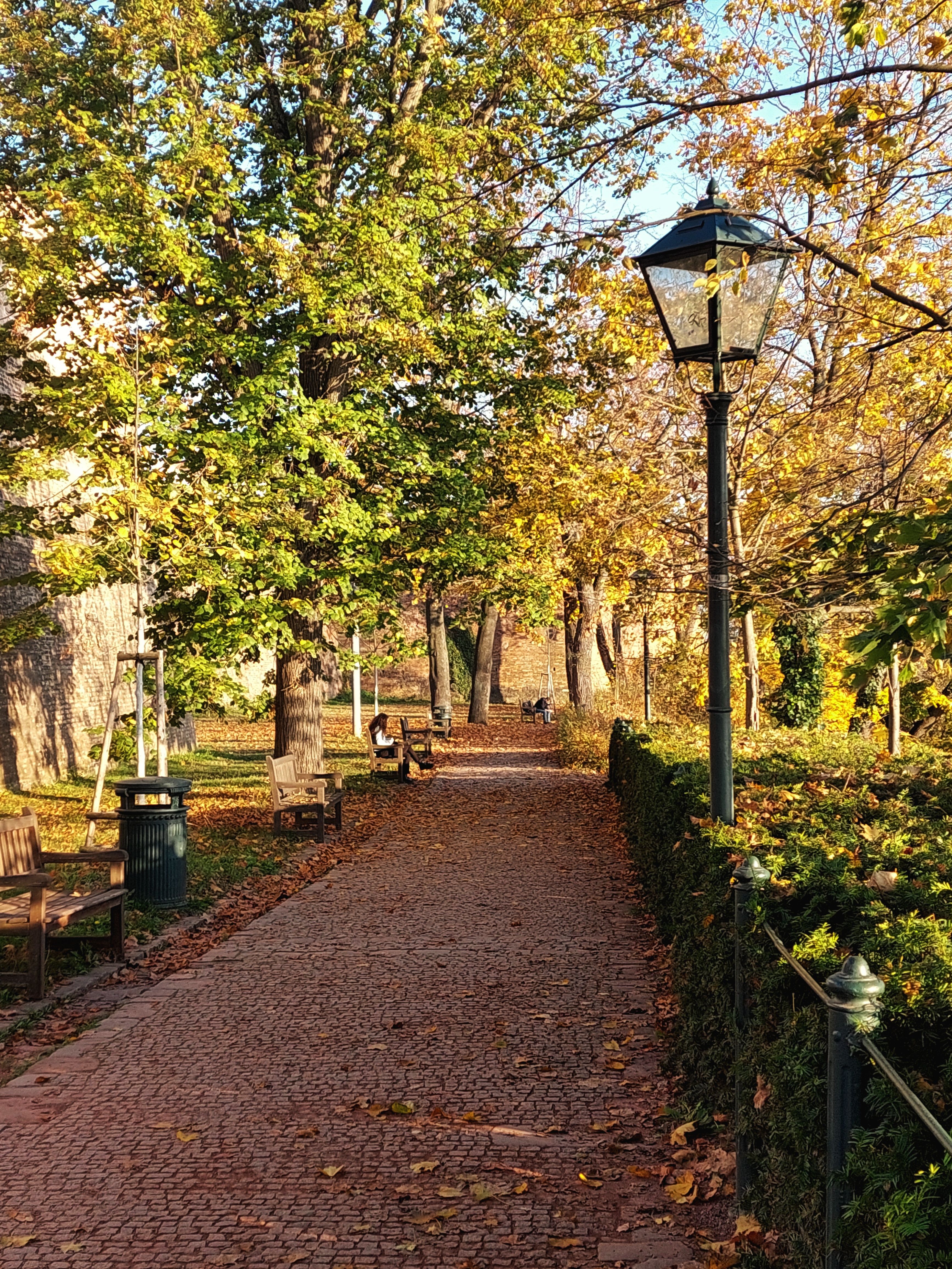 Charming Autumn Pathway in a Peaceful Park Setting · Free Stock Photo
