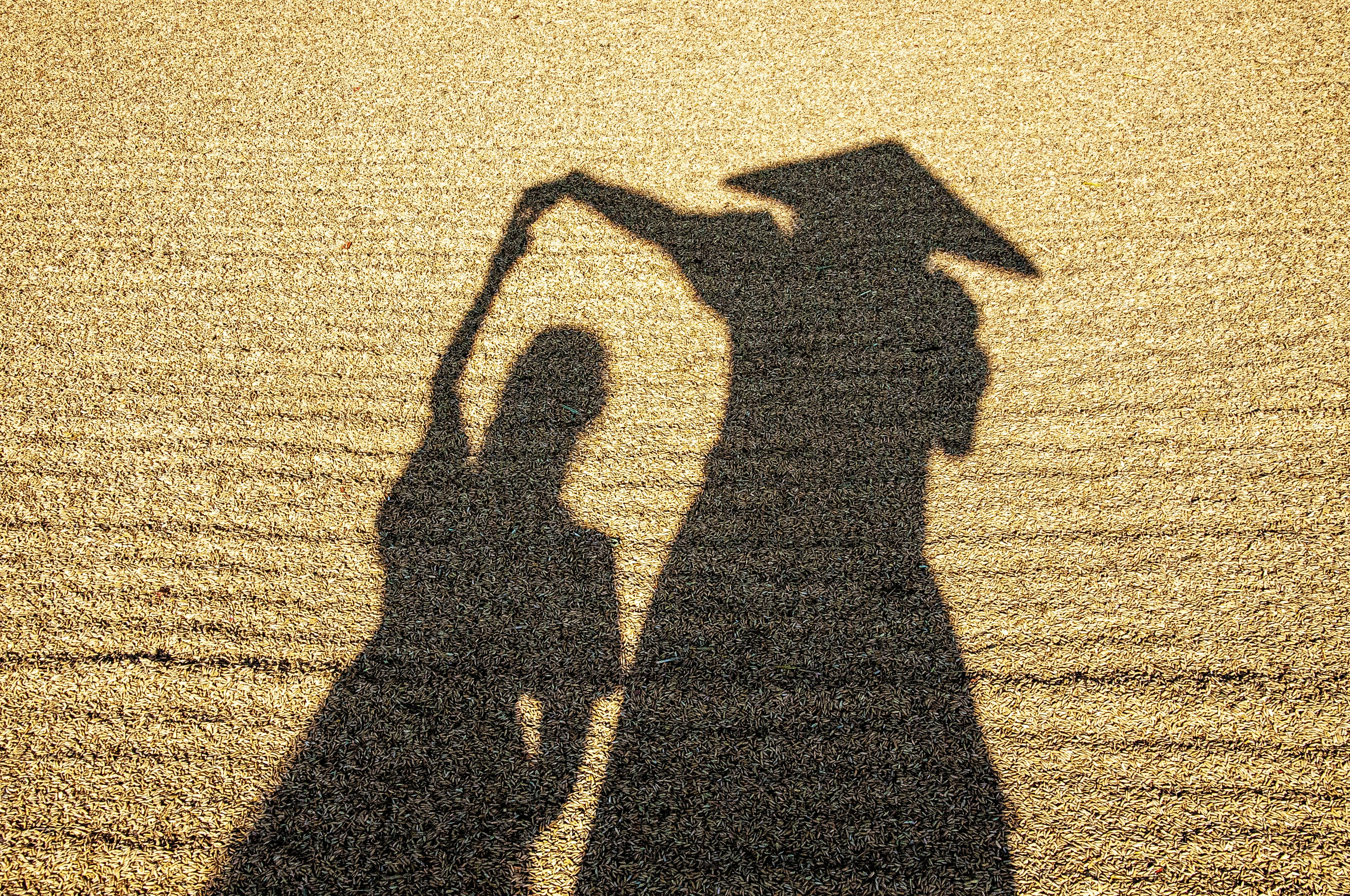 College Graduation Shadows Photos, Download The BEST Free College ...