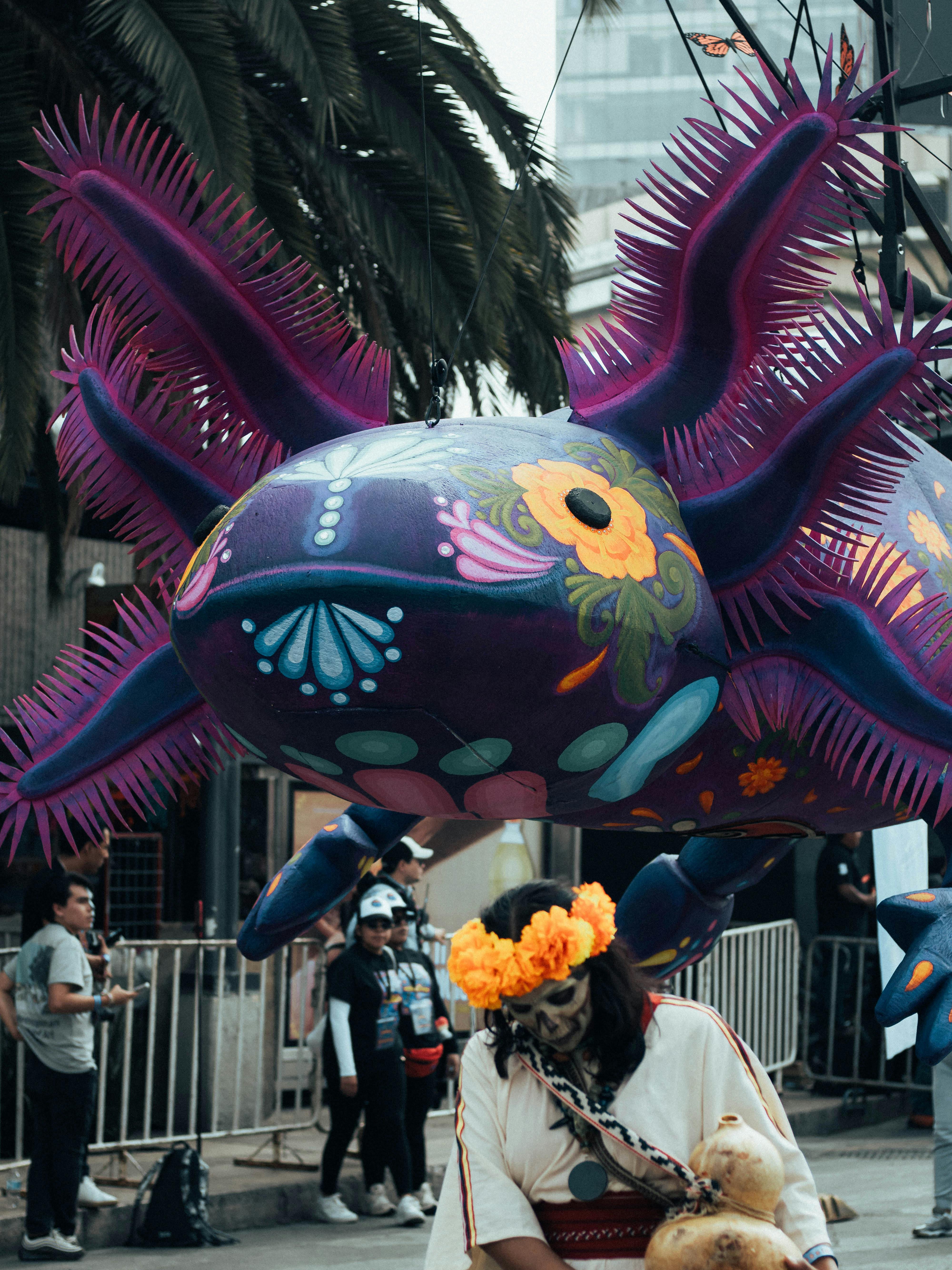 Axolotl Photos, Download The BEST Free Axolotl Stock Photos & HD Images