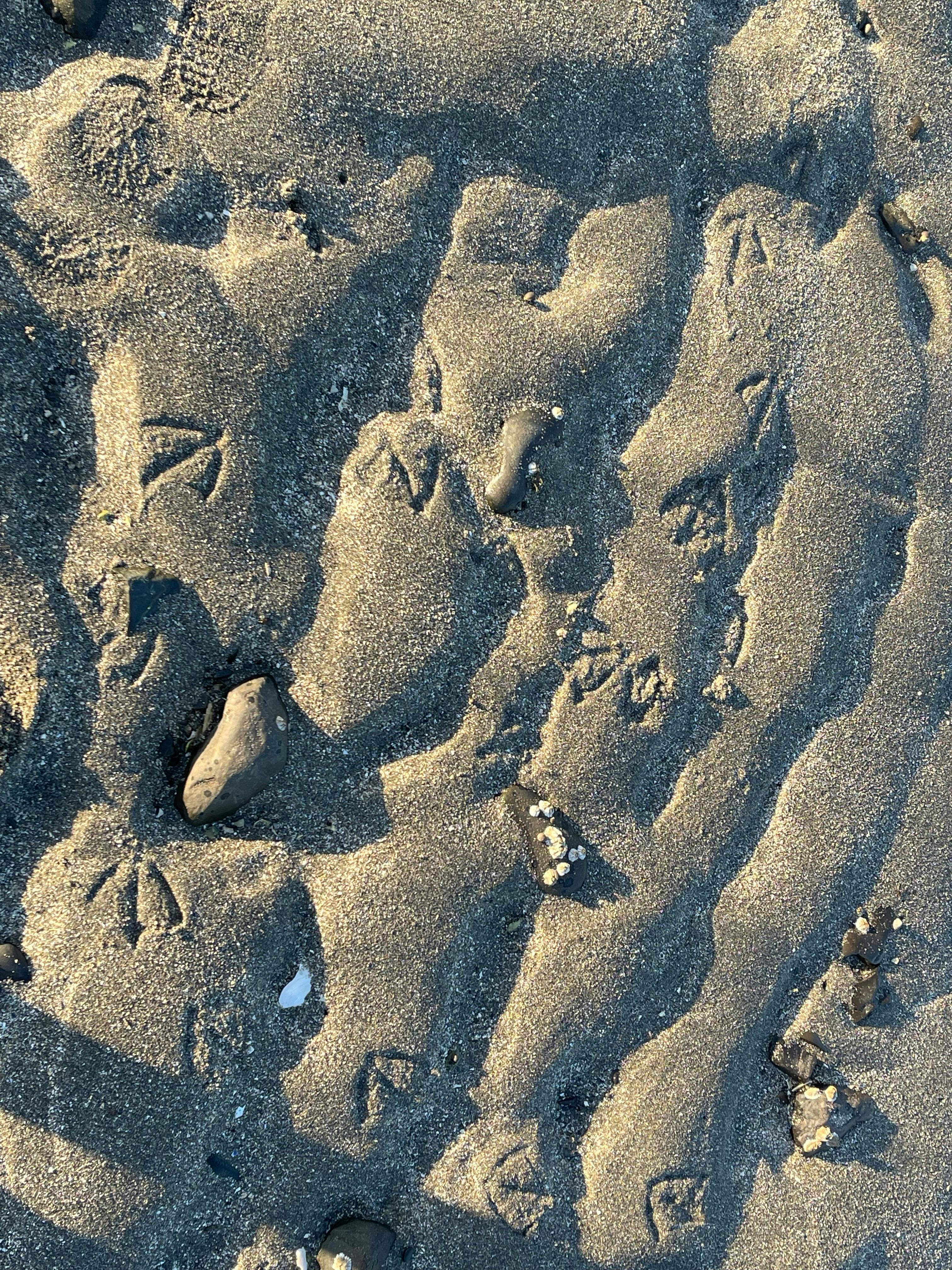 Main Sandy Photos, Download The BEST Free Main Sandy Stock Photos & HD ...