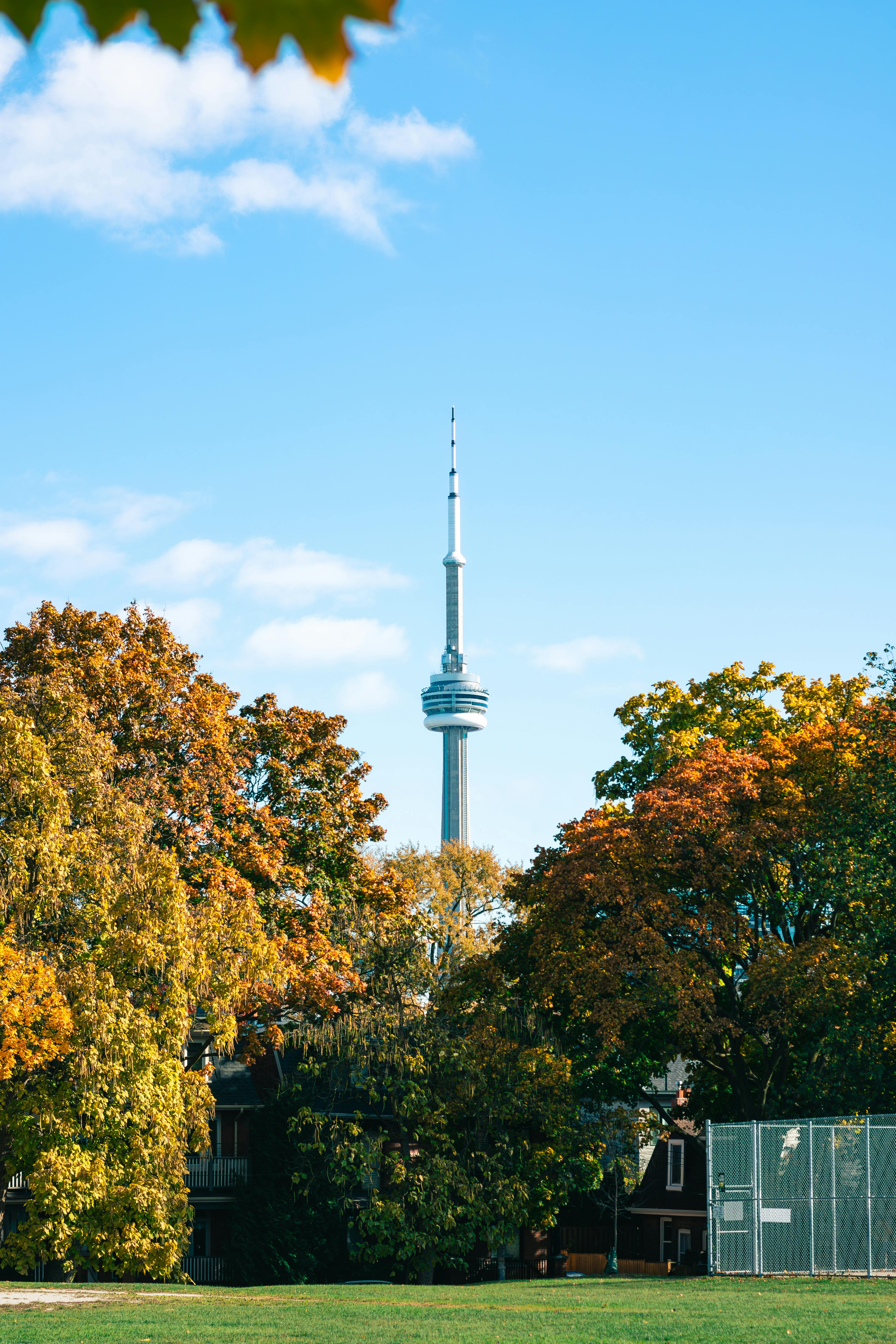 Menara Cn Di Musim Gugur Dikelilingi Pohon Maple Berwarna Warni · Foto ...