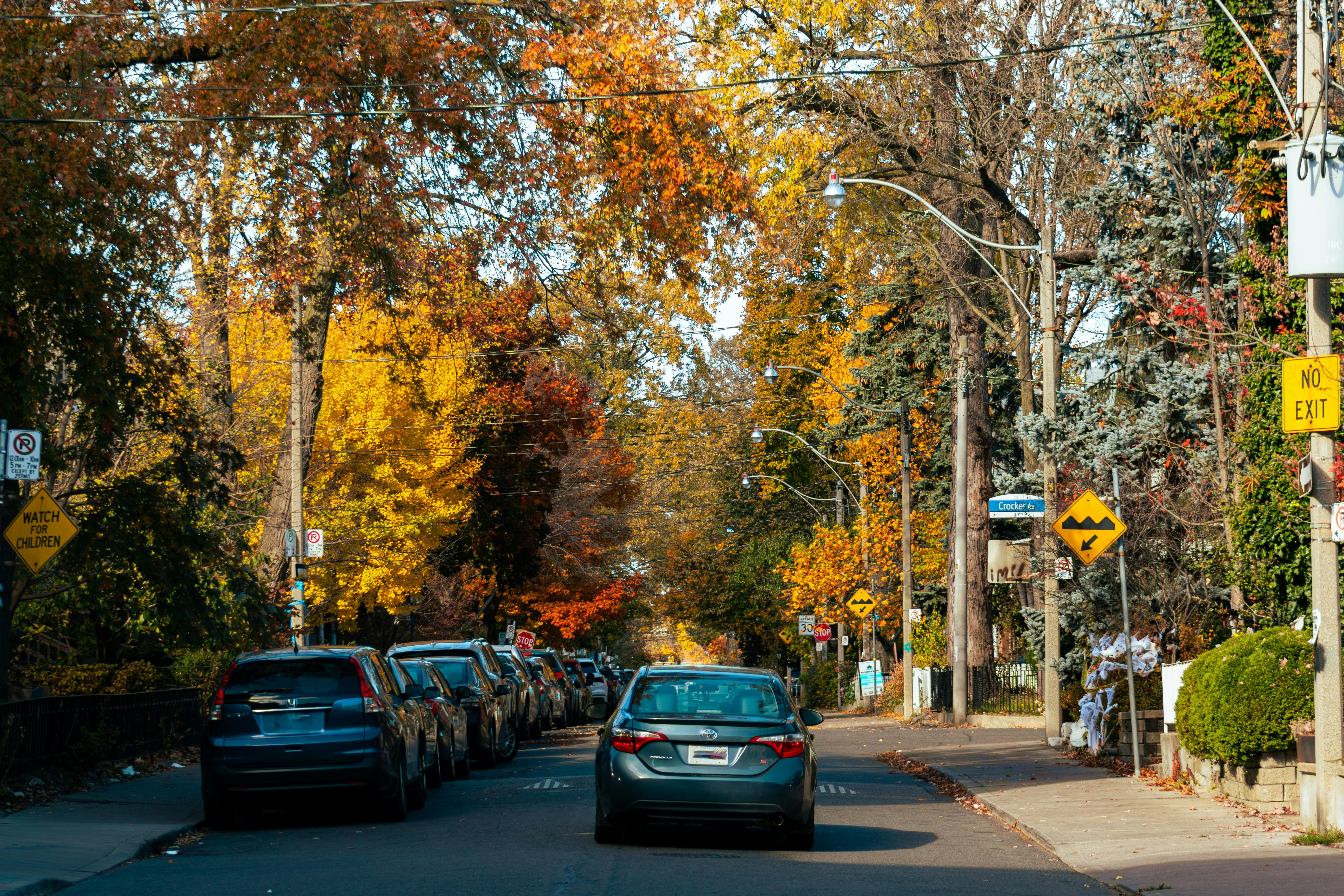 Autumn Street Scene in Toronto, Canada · Free Stock Photo