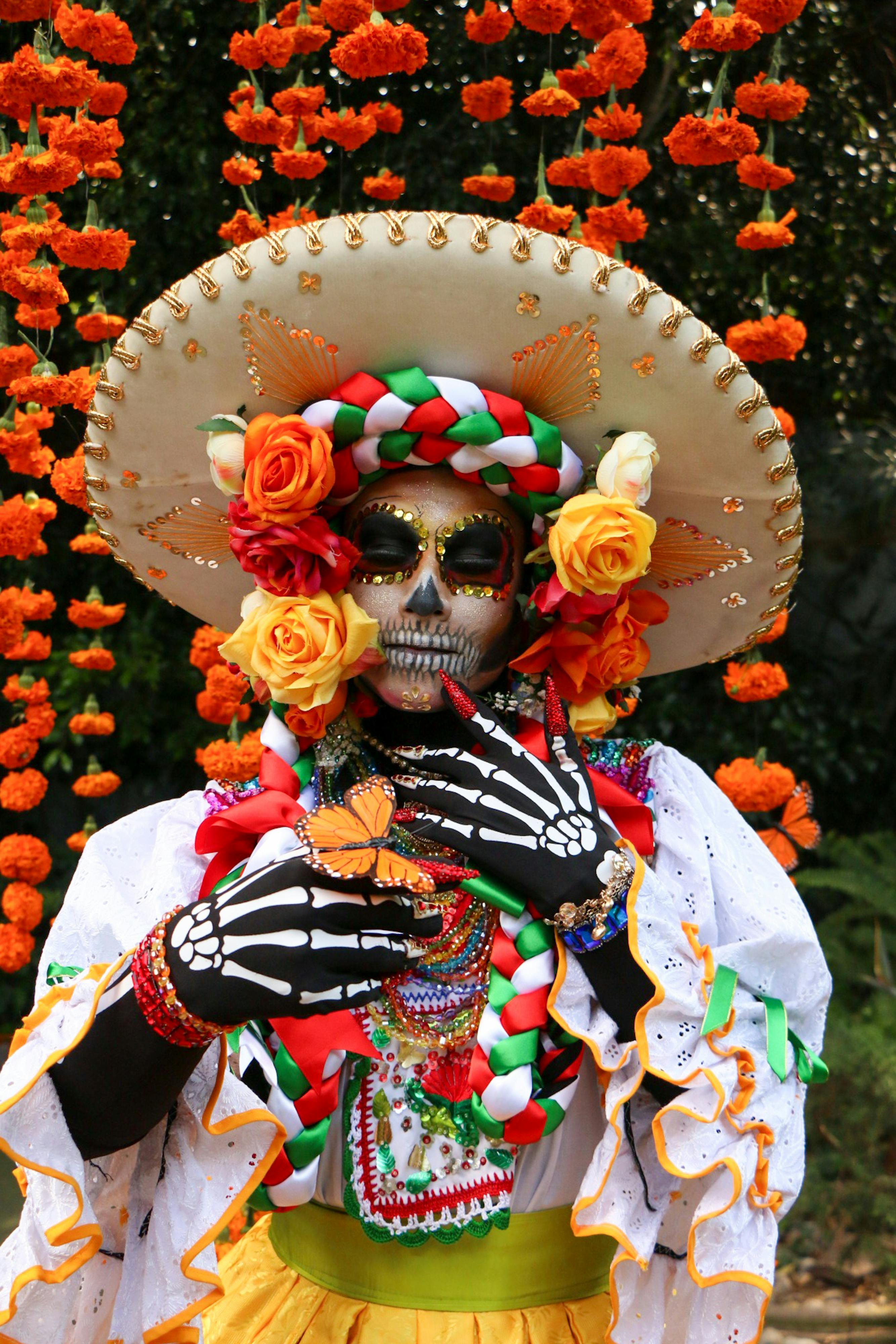 Mariposa Insekto Photos, Download The BEST Free Mariposa Insekto Stock ...