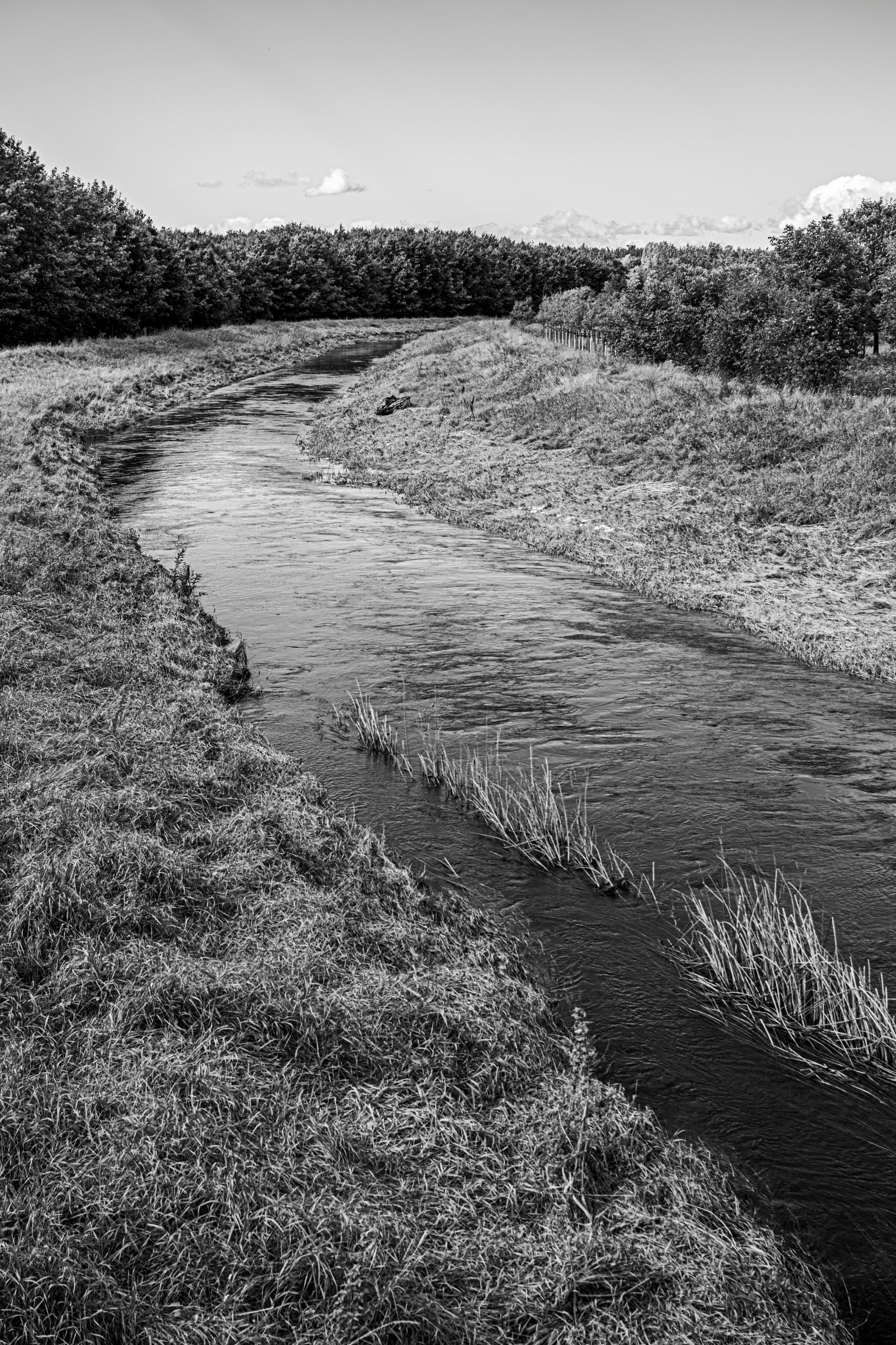 Serene Black and White River Landscape Scene · Free Stock Photo