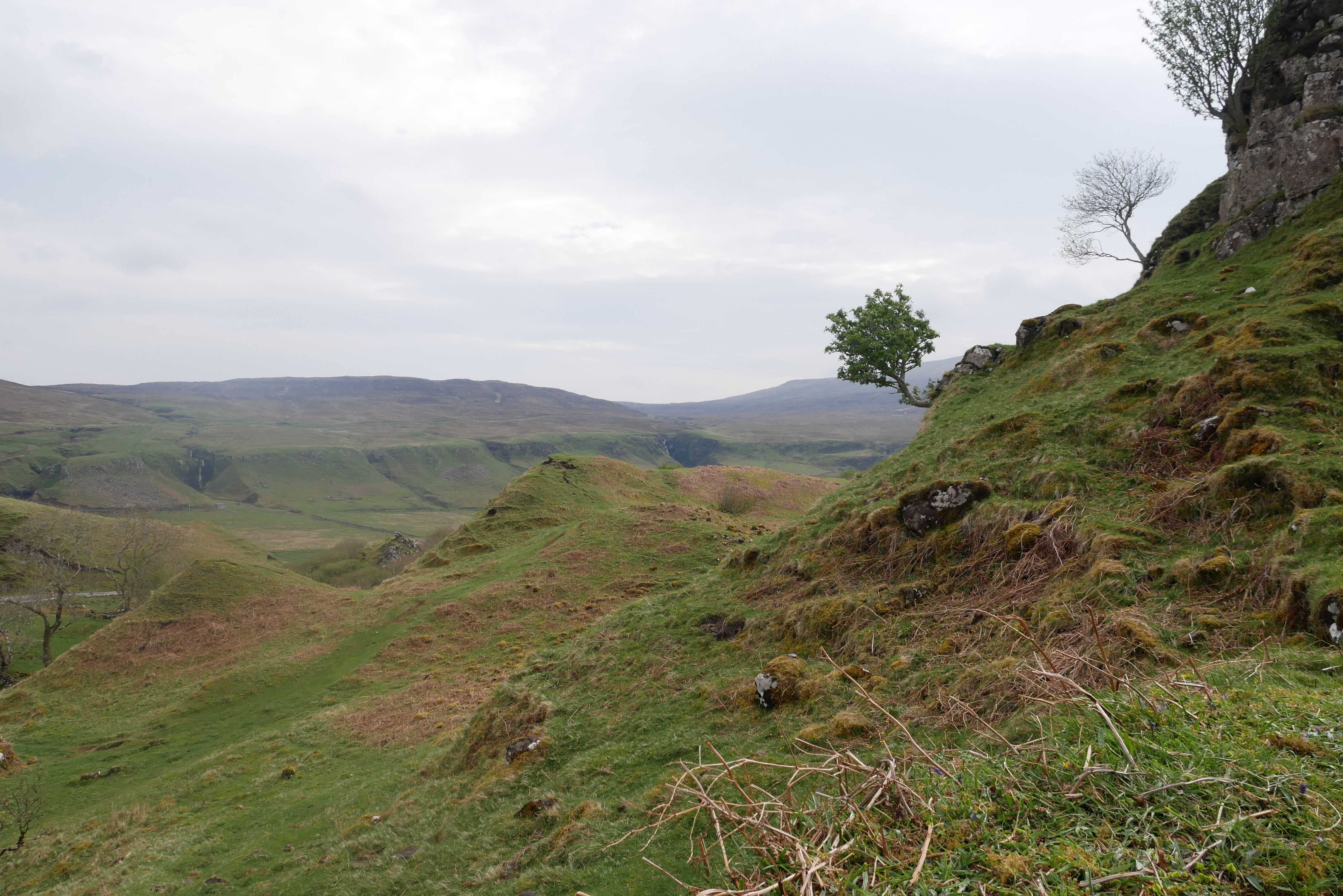 Serene Hillside Landscape with Rolling Meadows · Free Stock Photo