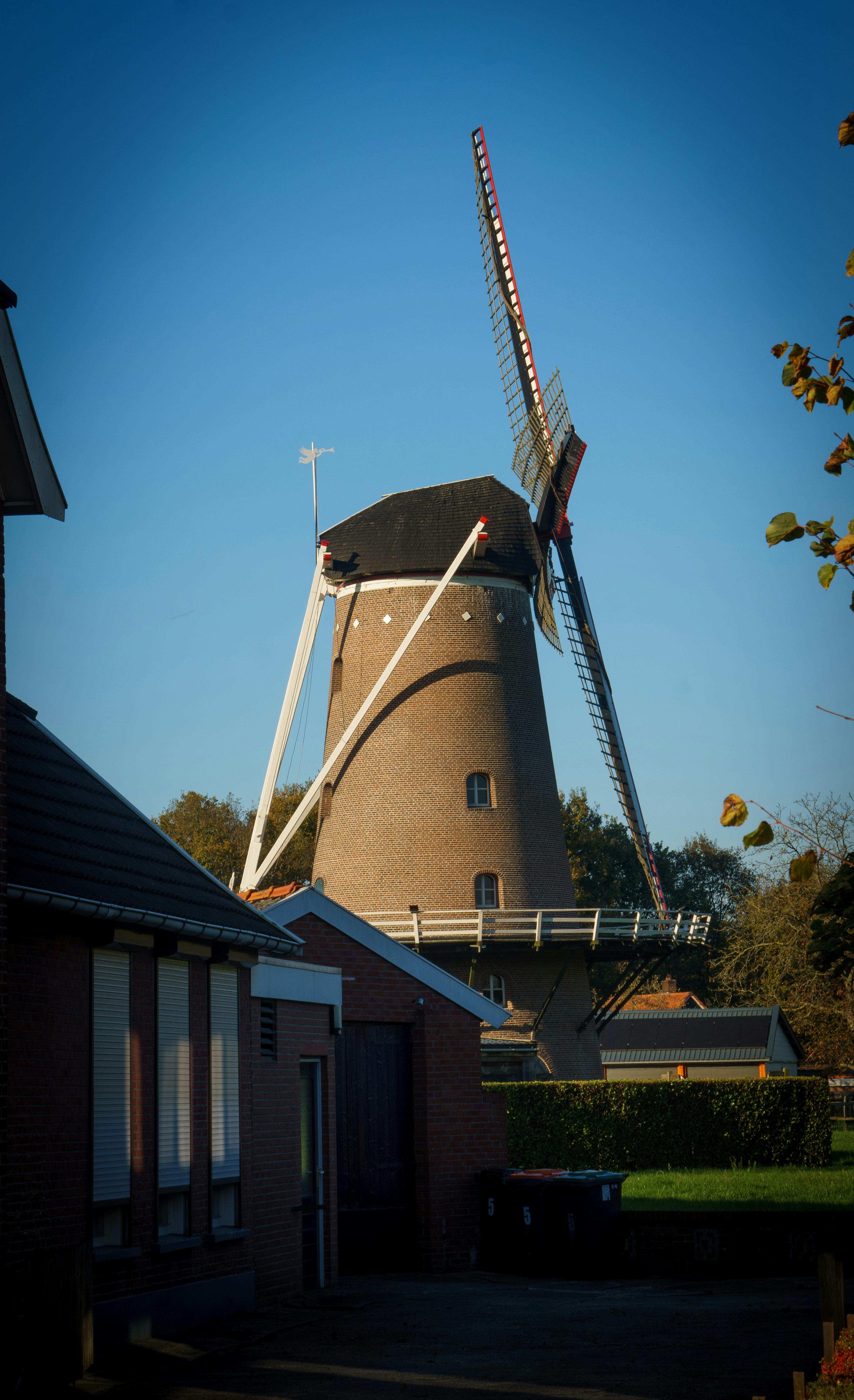 Traditional Dutch Windmill Under Clear Blue Sky · Free Stock Photo