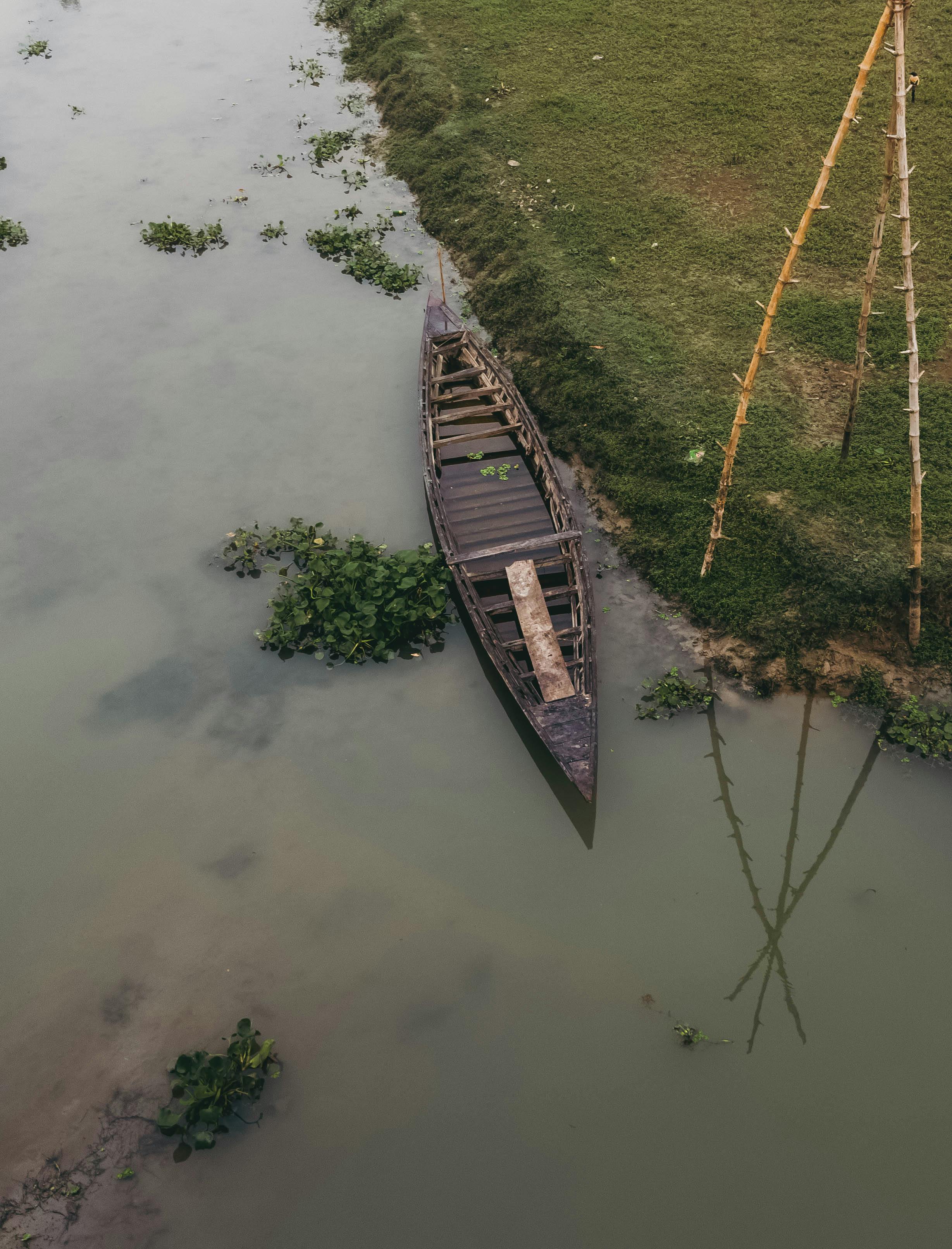 Juairia Islam Shefa - Photography