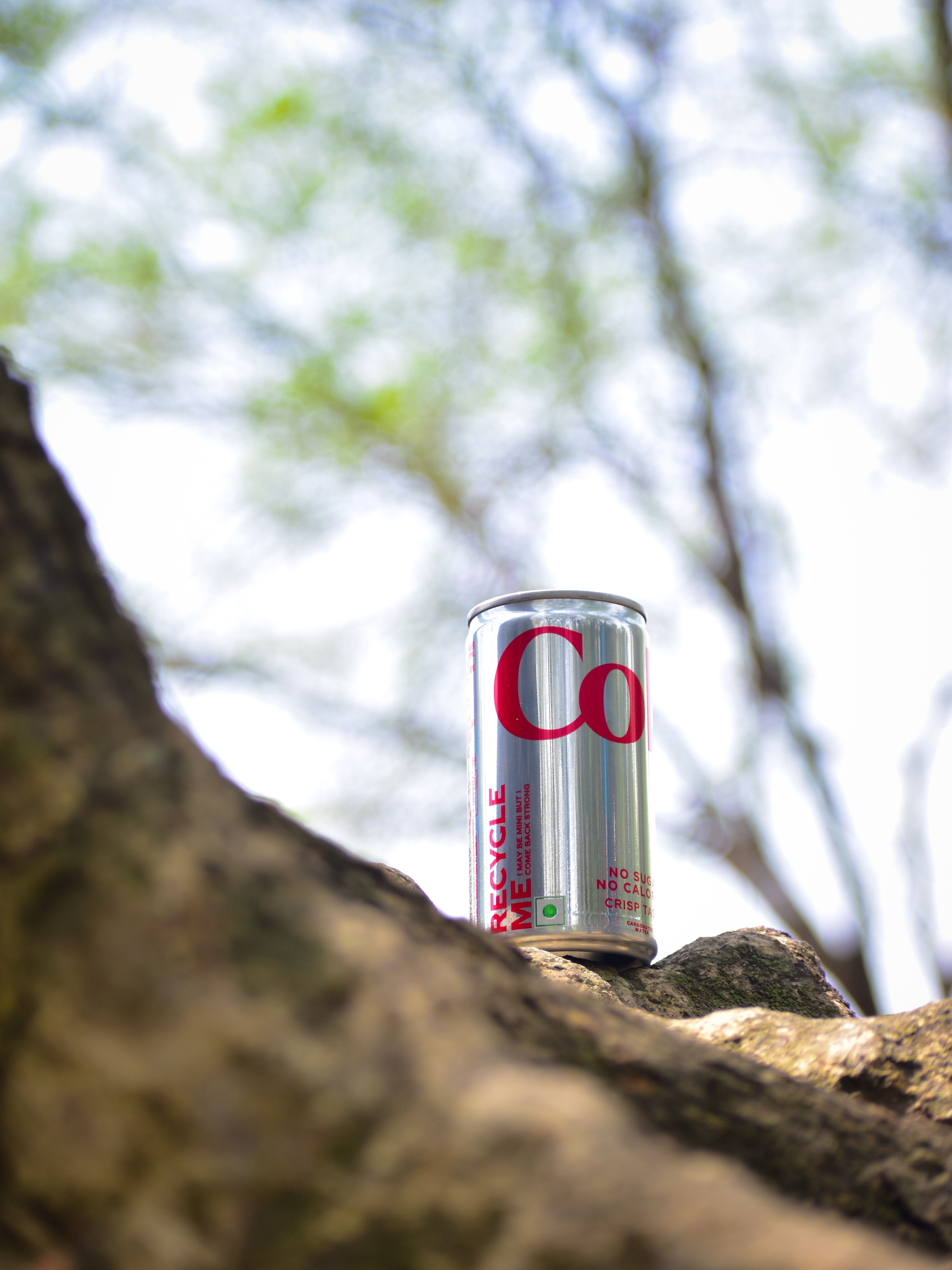 Coca Cola Can on Tree Branch in Natural Light · Free Stock Photo