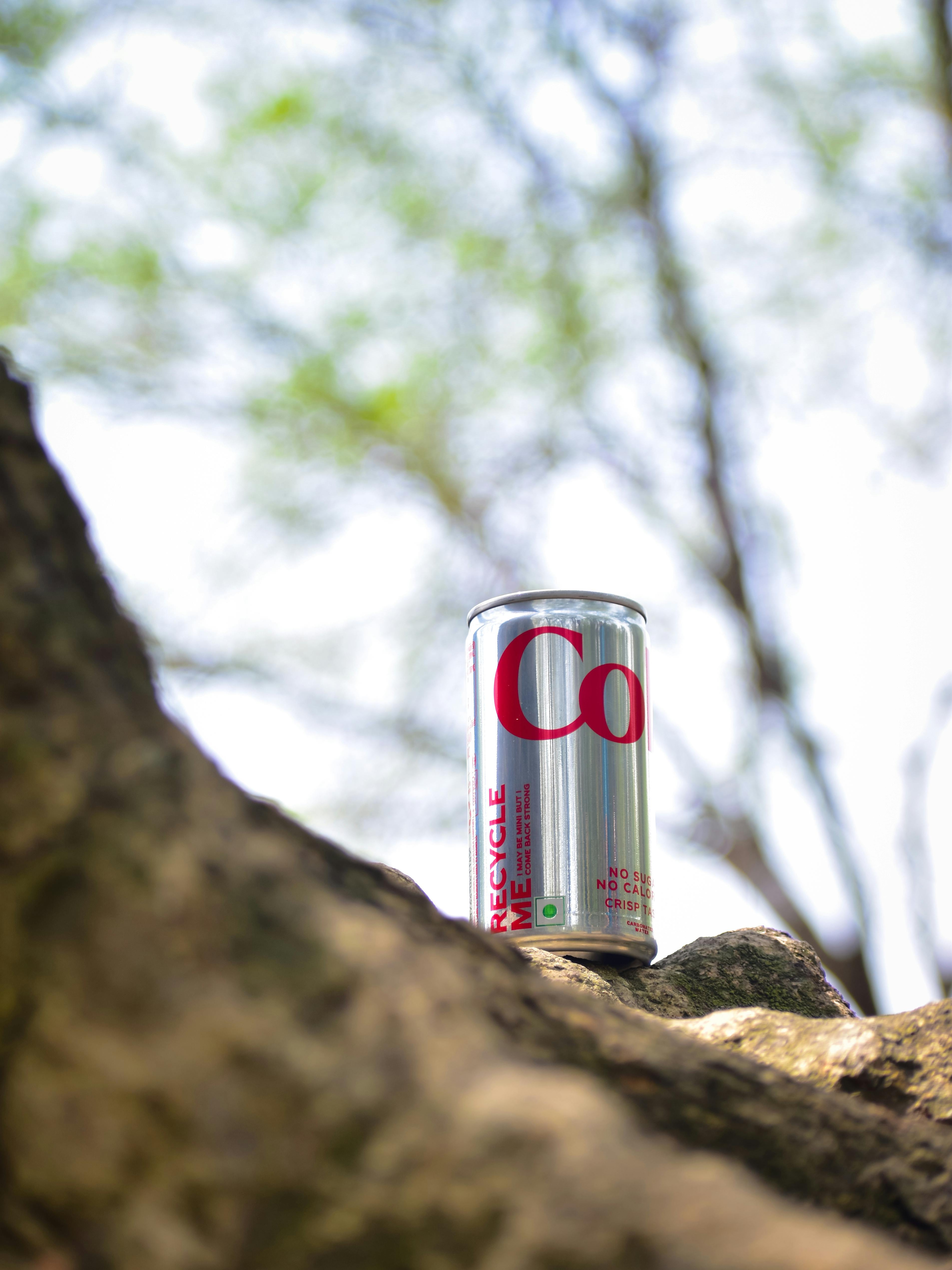 Lata De Coca Cola En La Rama De Un árbol Con Luz Natural · Foto de ...
