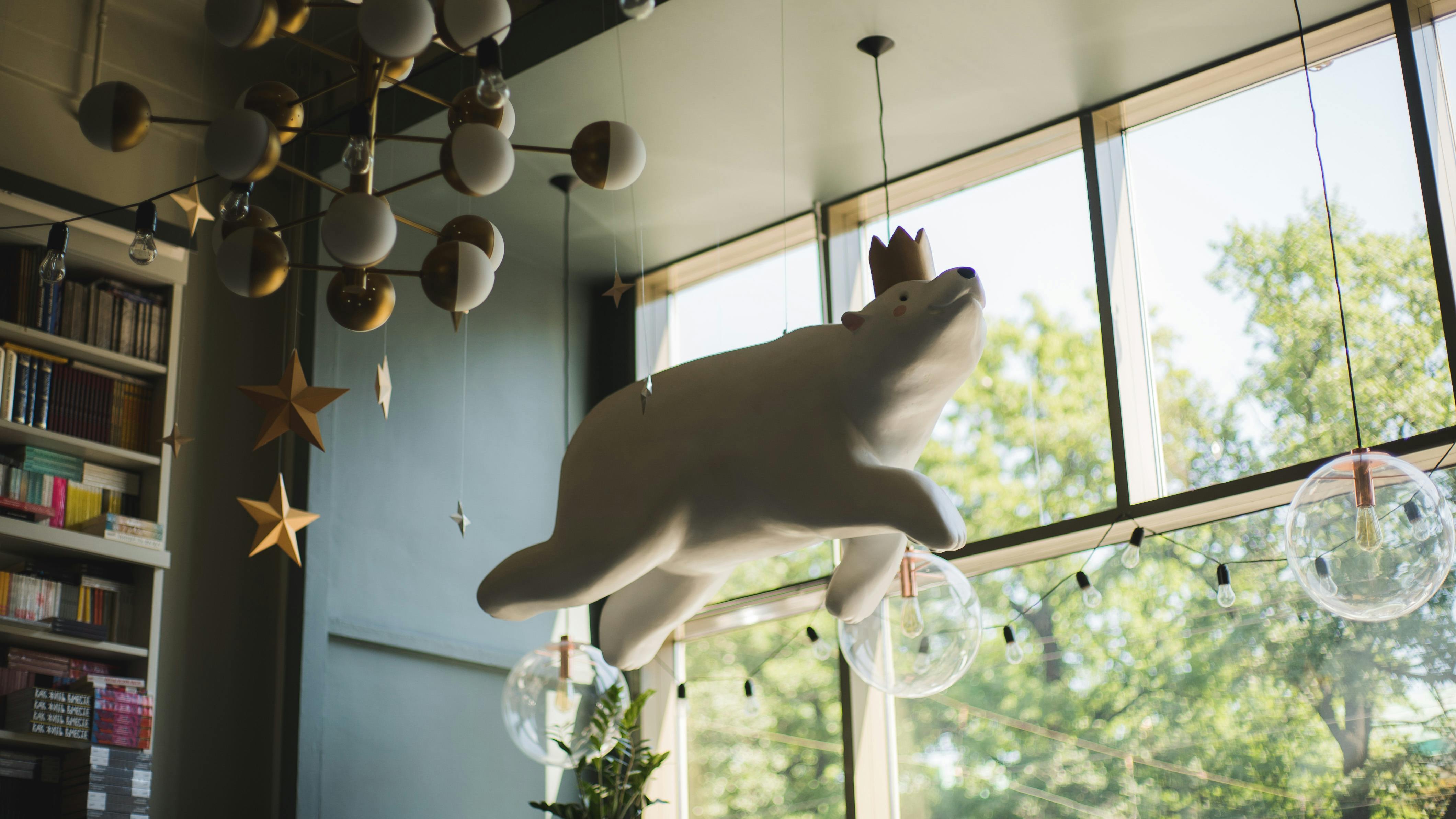 Animation Shop Photos, Download The BEST Free Animation Shop Stock ...