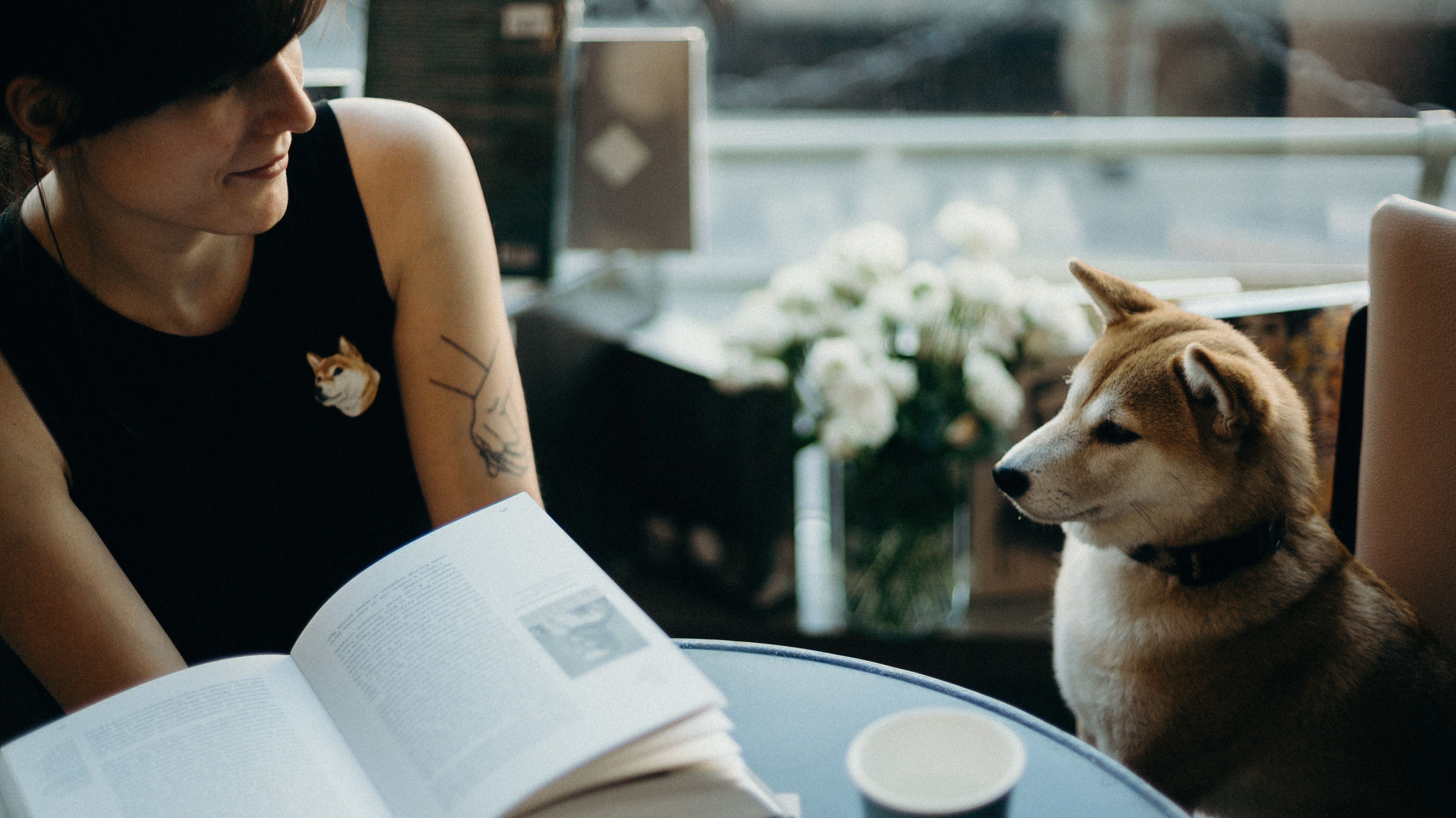 Photo Of People Beside Dog · Free Stock Photo