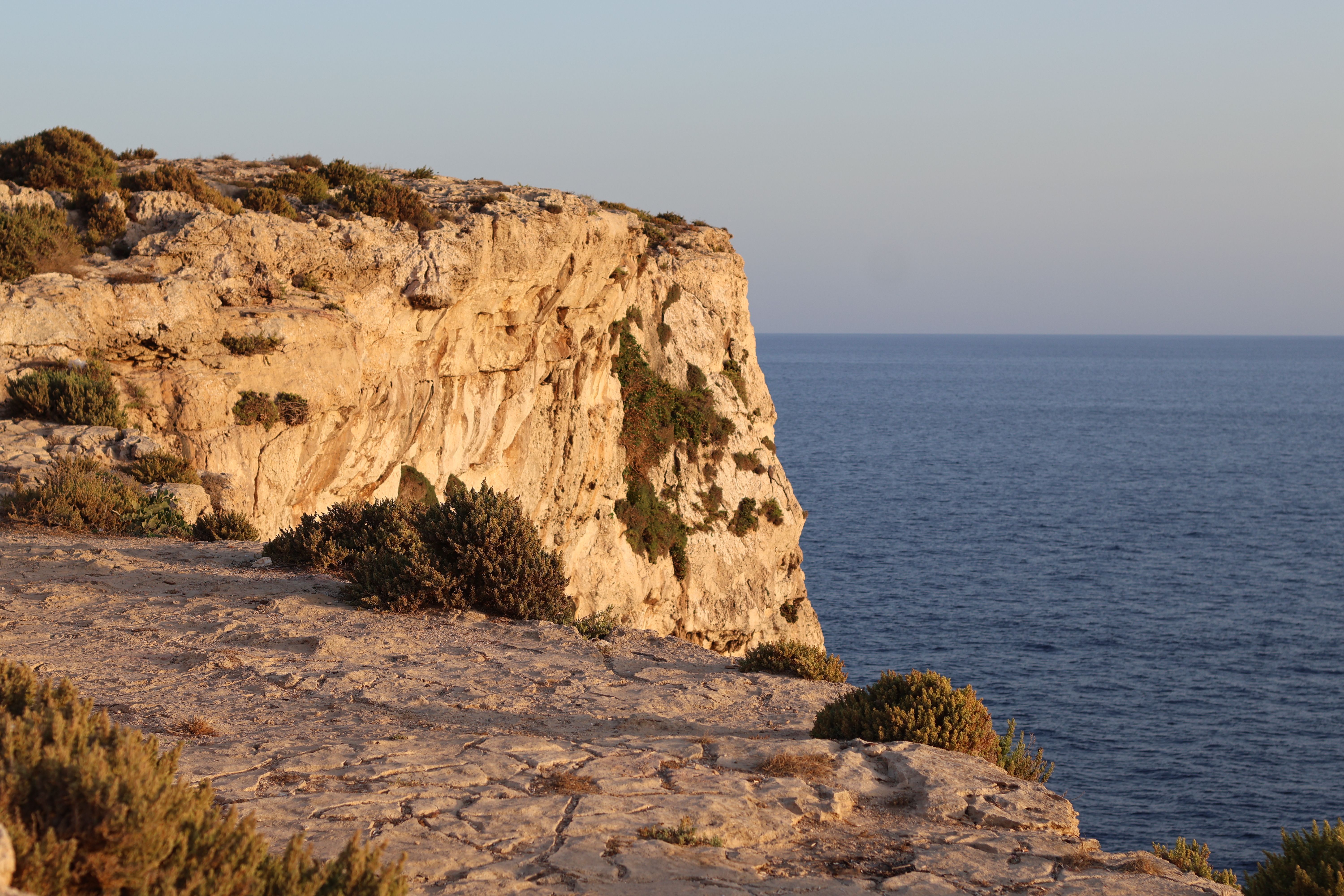 Scenic Coastal Cliff Overlooking the Ocean · Free Stock Photo