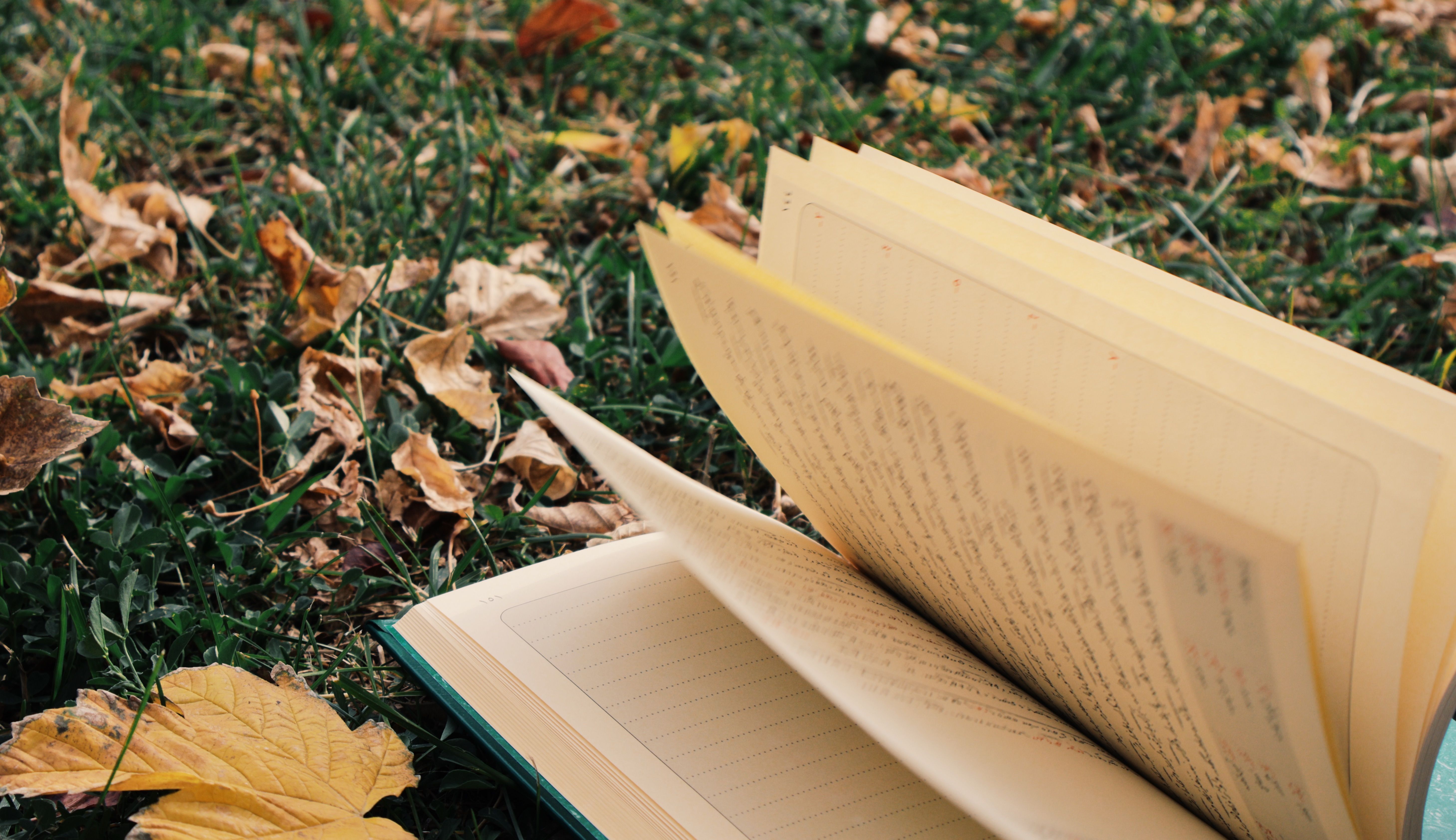 Open book with autumn leaves on grass · Free Stock Photo
