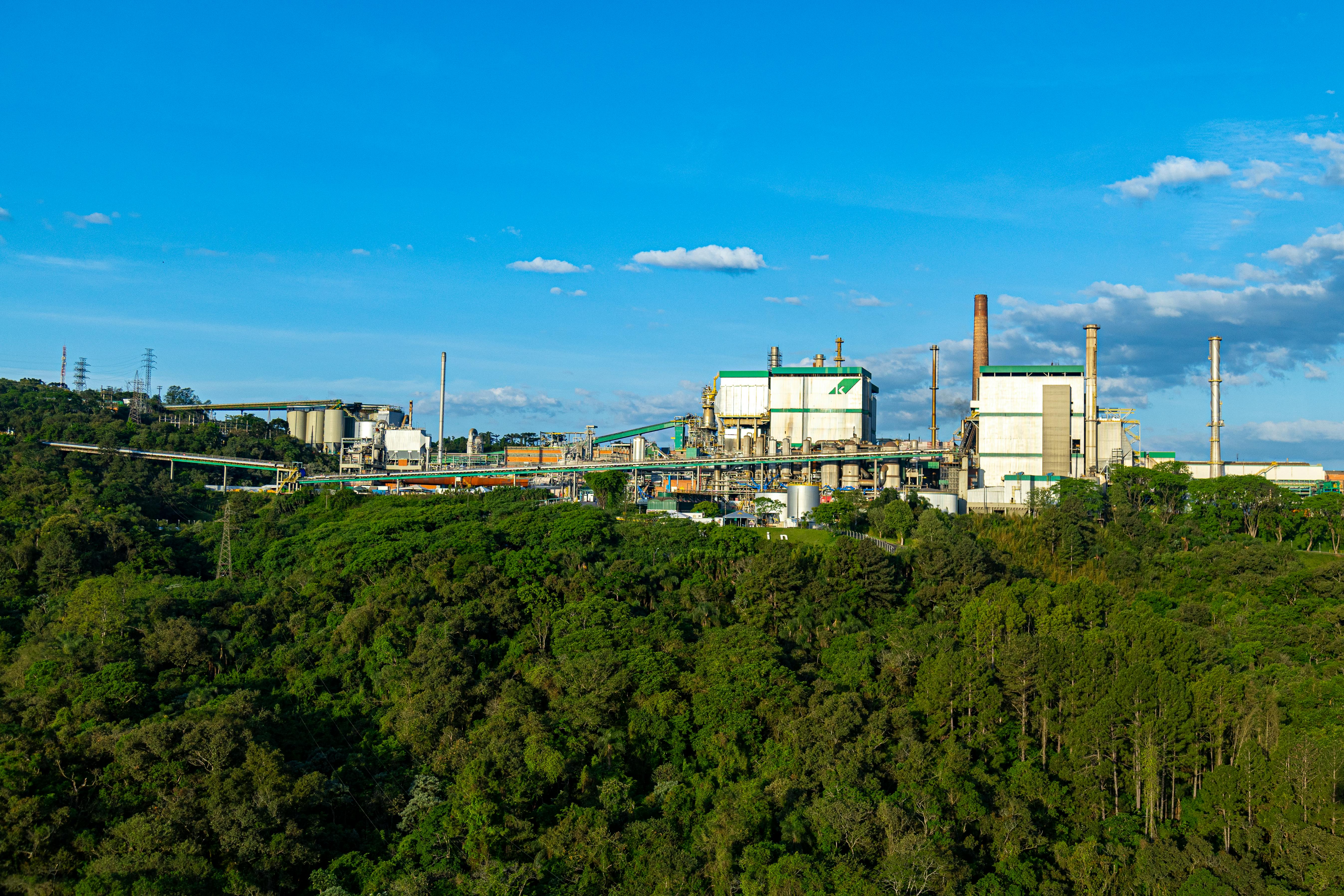 Pulp And Paper Photos, Download The BEST Free Pulp And Paper Stock ...