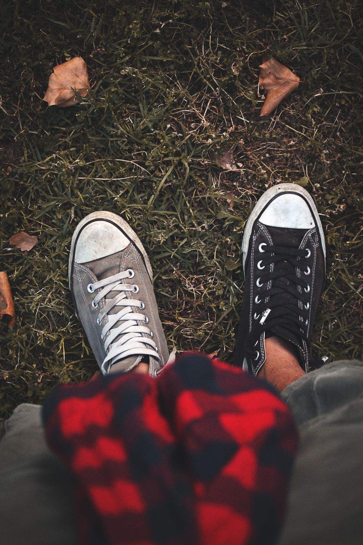 Different Photos, Download The BEST Free Different Stock Photos & HD Images