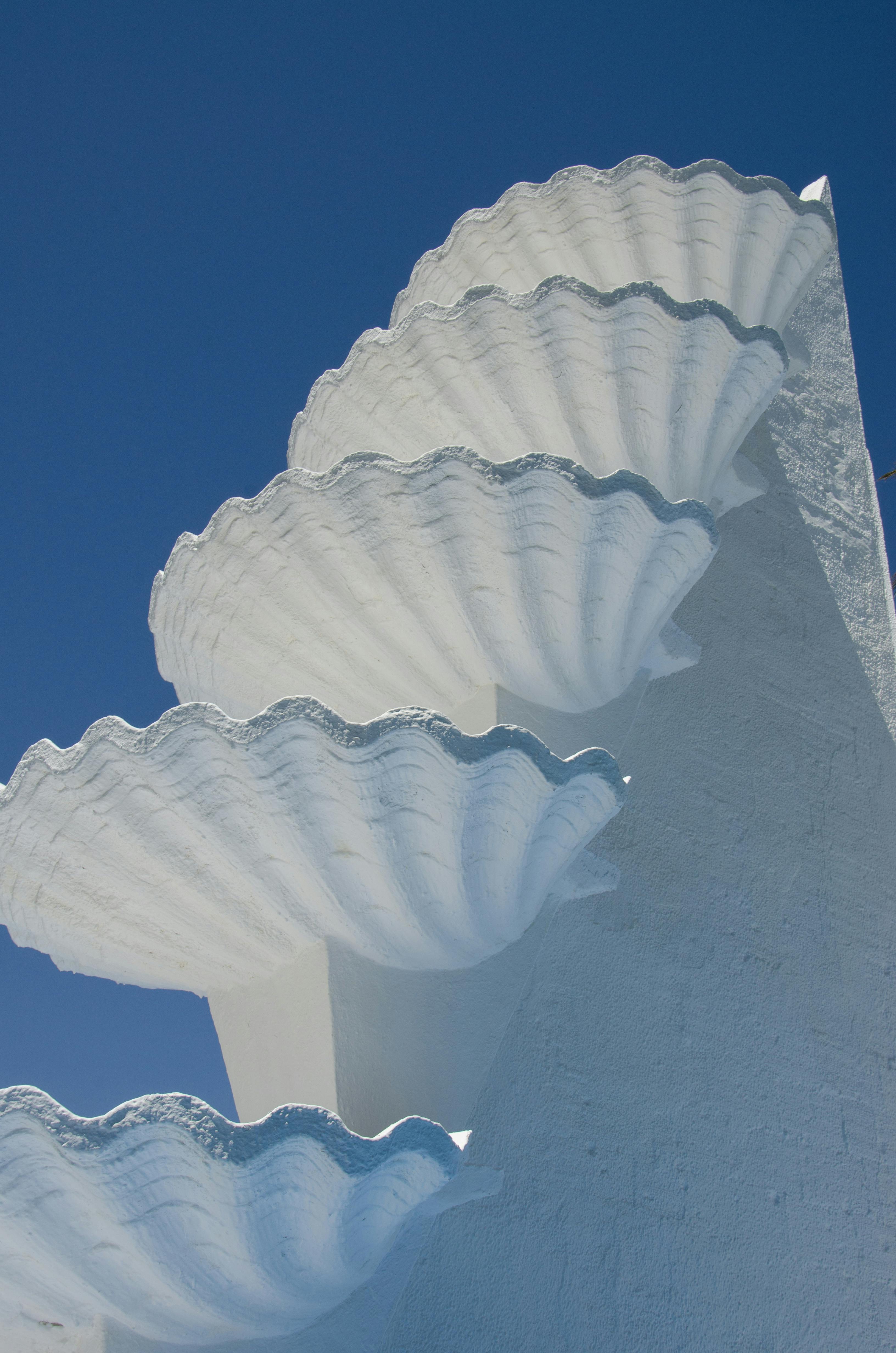 Abstract White Shell Architecture Against Blue Sky · Free Stock Photo