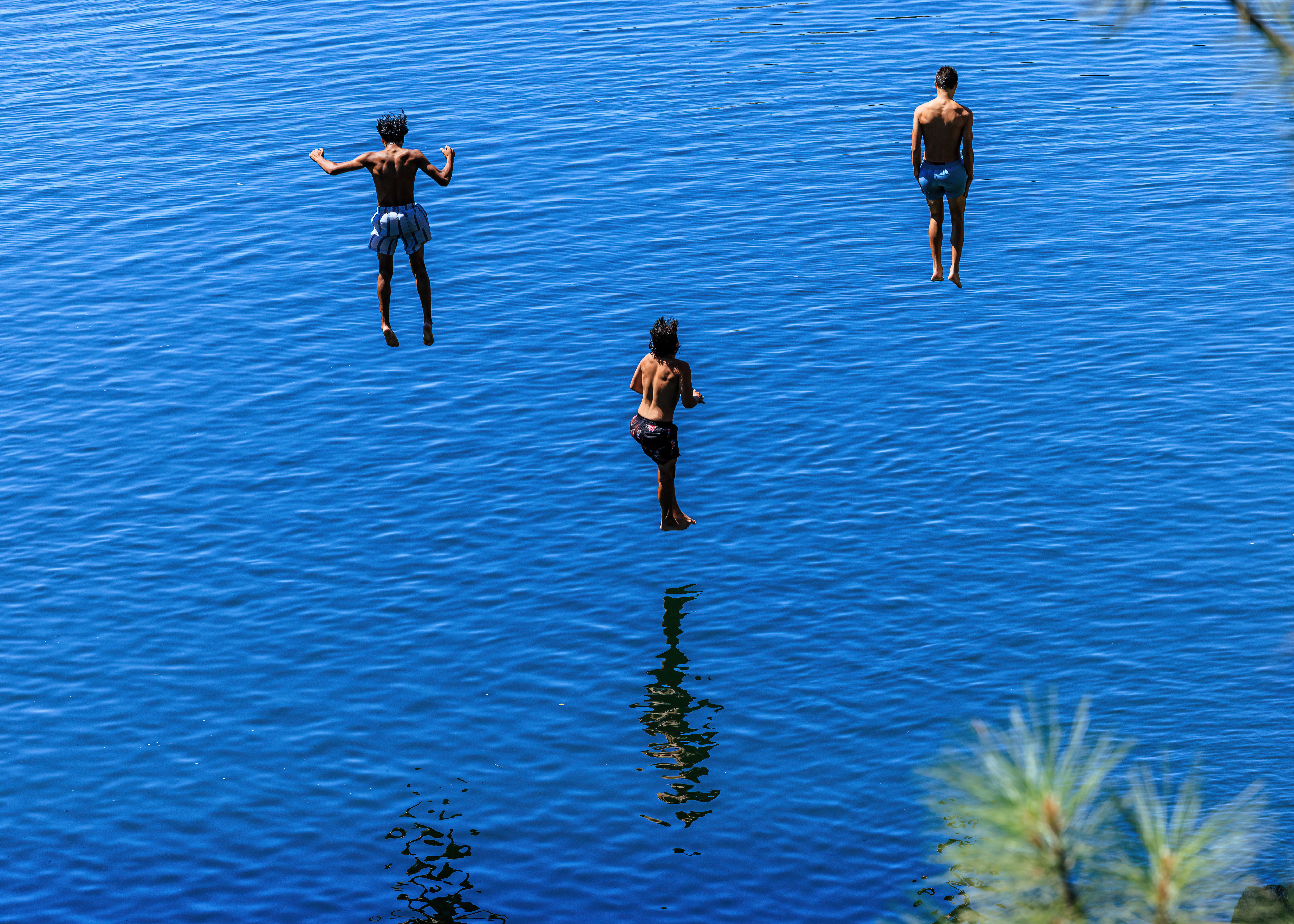 Young Boys Jumping into Folsom Lake · Free Stock Photo