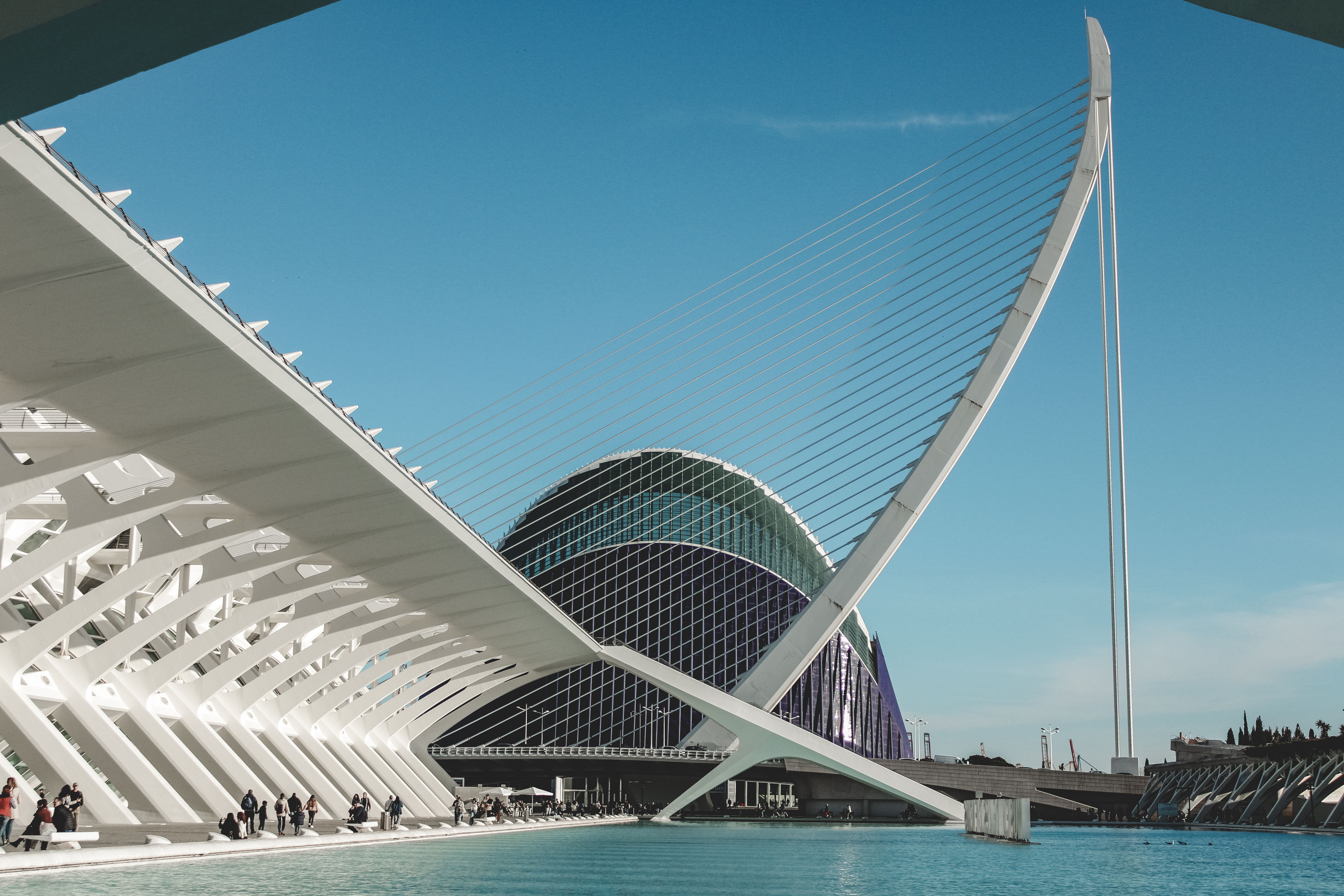Modern Architecture in Valencia's City of Arts · Free Stock Photo