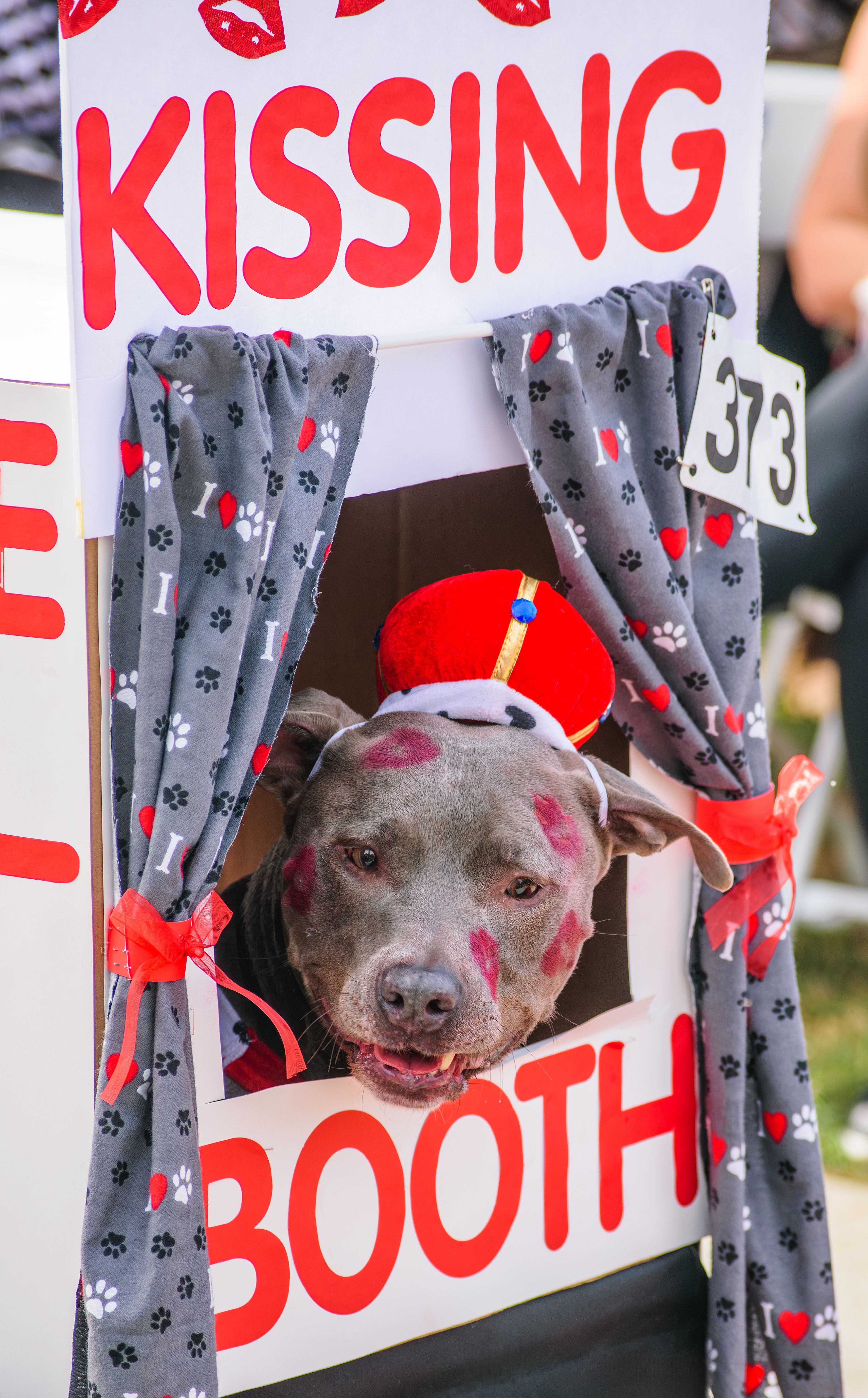 Adorable Perro En Una Cabina De Besos En El Carnaval · Foto de stock ...