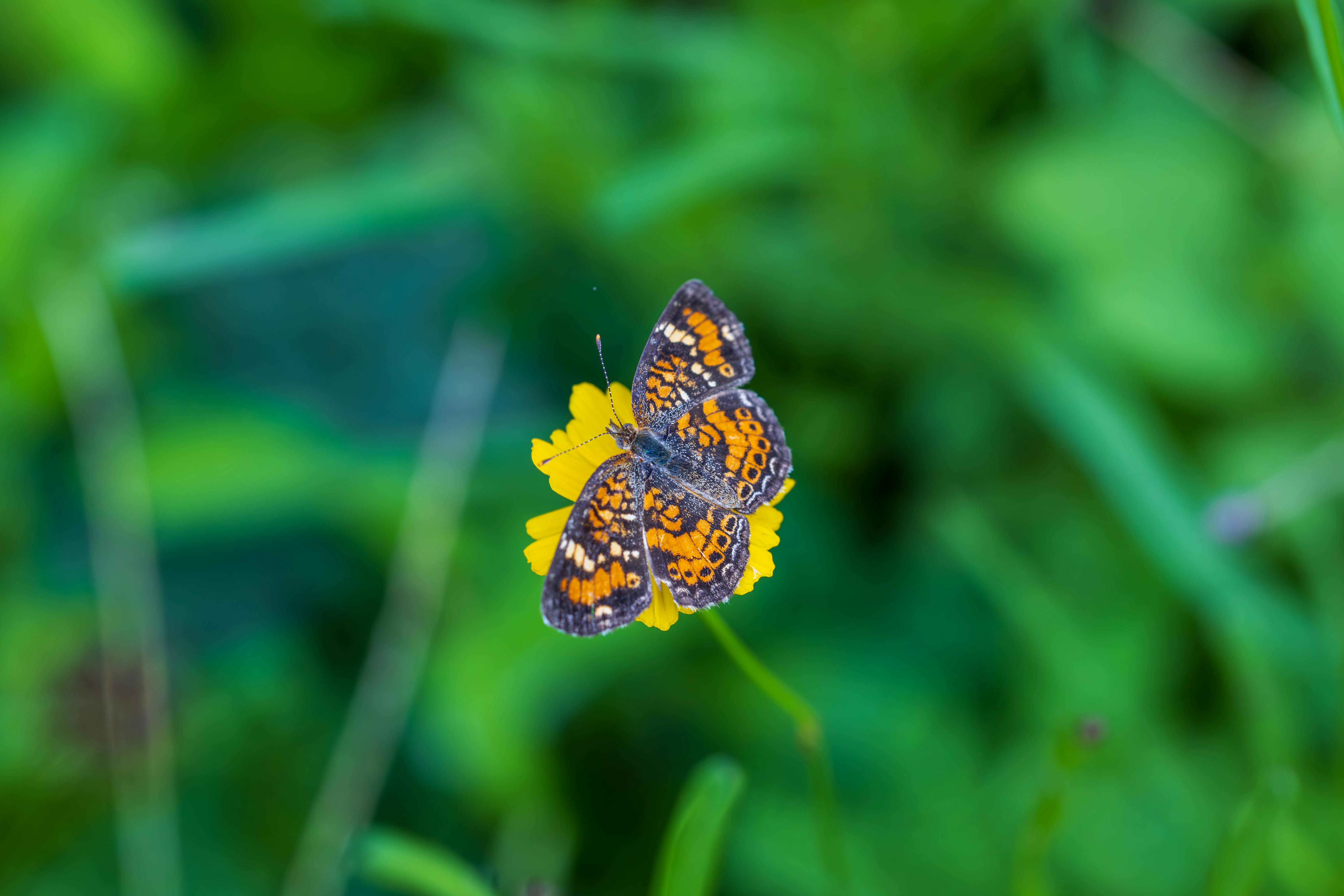 Environmental Video Photos, Download The BEST Free Environmental Video ...